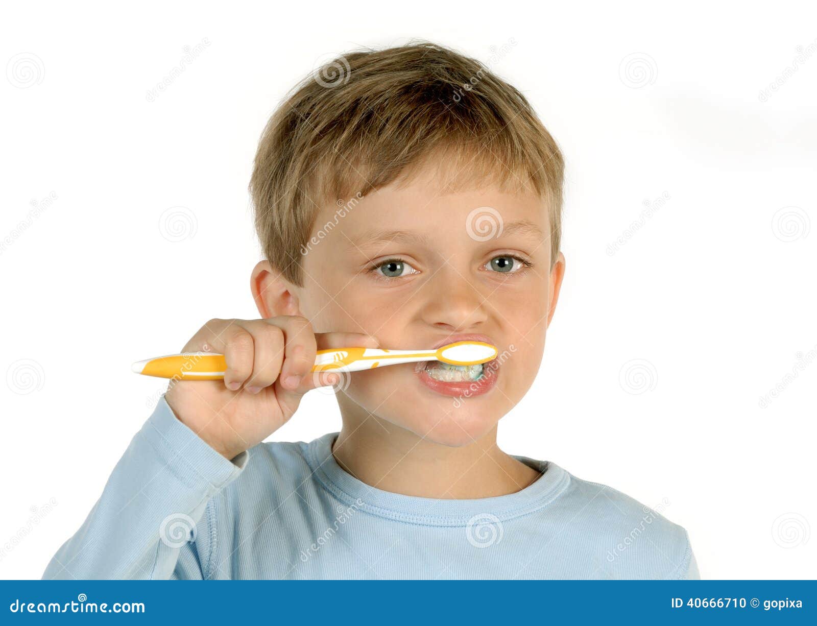 Boy brushing teeth stock photo. Image of male, toothbrush - 40666710