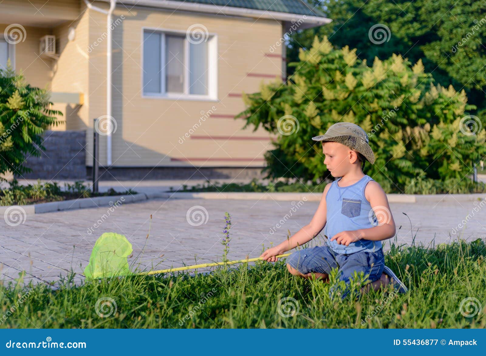 Boy with Bug Net Crouching in Long Grass on Lawn Stock Image - Image of ...