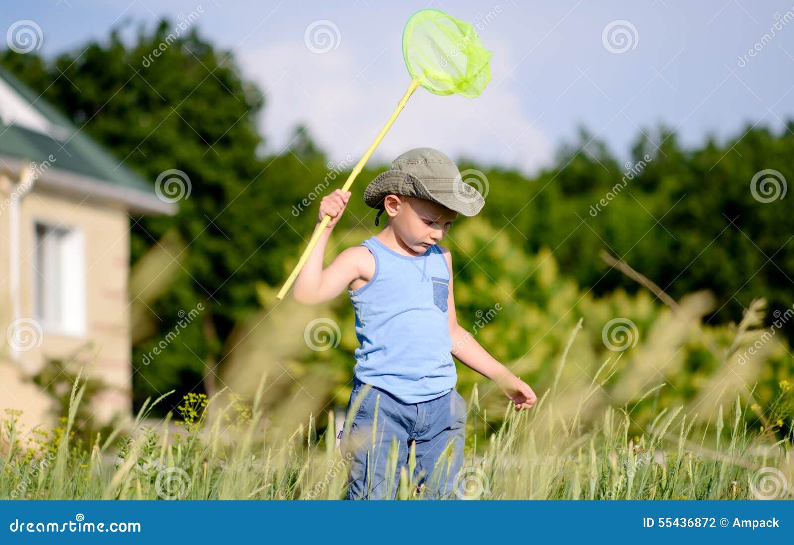 Boy with Bug Net Exploring Long Grass Stock Photo - Image of raised ...