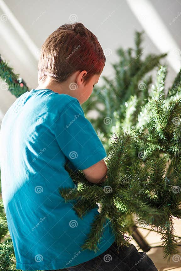 Boy Building a Christmas Tree Stock Image - Image of christmastime ...