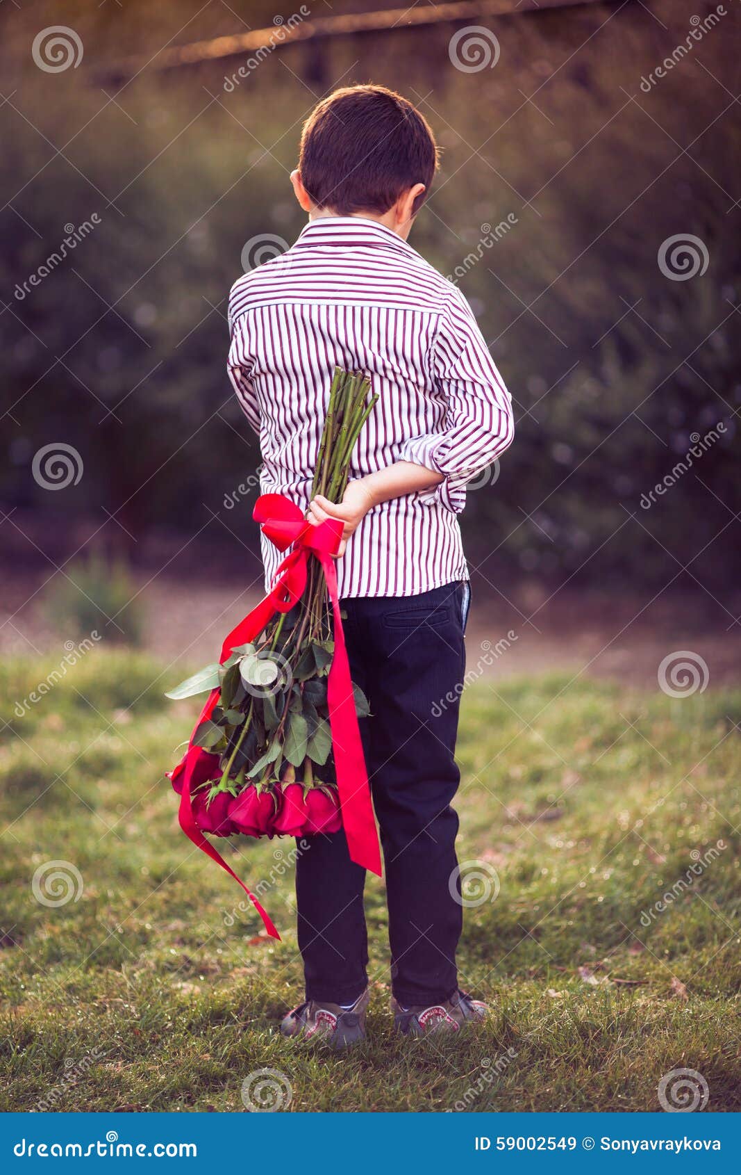 Boy with Bunch of Red Roses Stock Image - Image of mother, hiding: 59002549