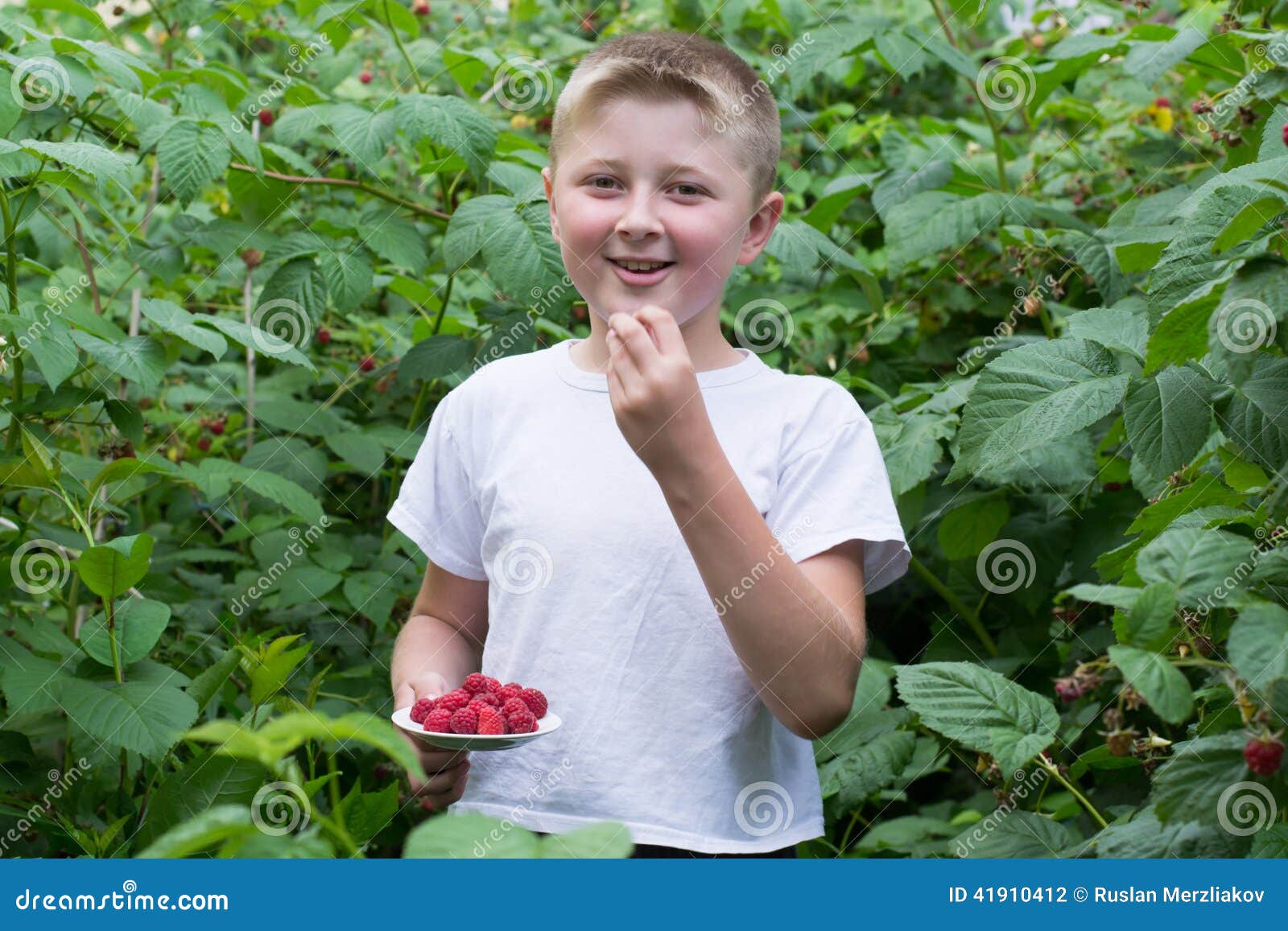 Boy in the Bushes of Raspberries Stock Photo - Image of berry ...