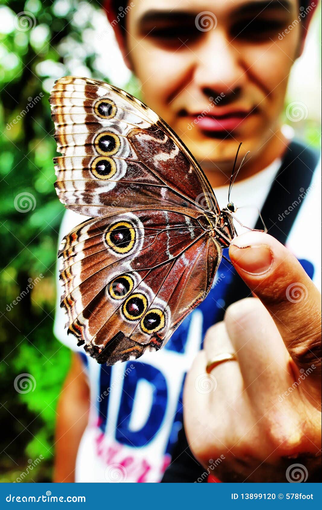 Boy with butterfly stock photo. Image of wildlife, color - 13899120