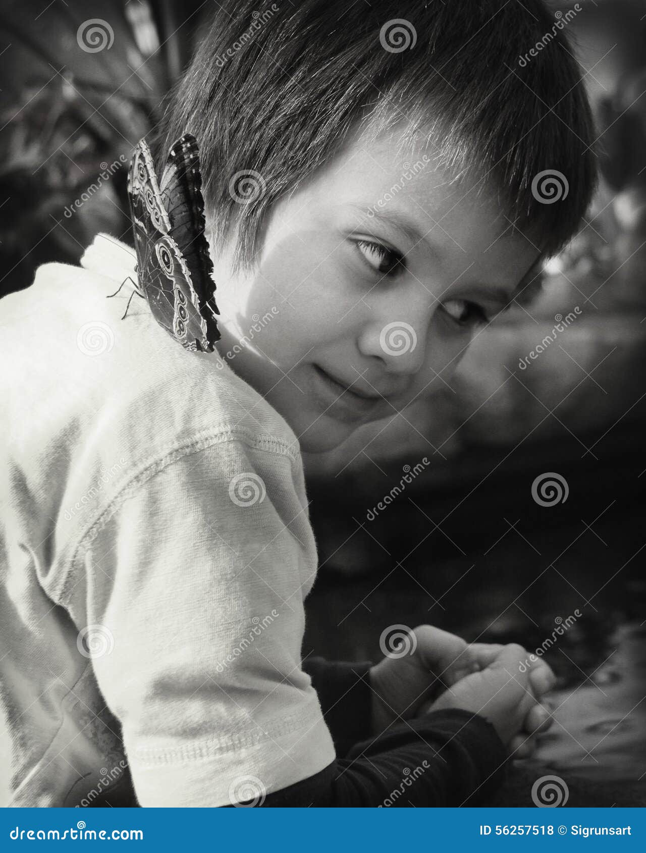 Boy and a Butterfly stock photo. Image of shoulder, young - 56257518
