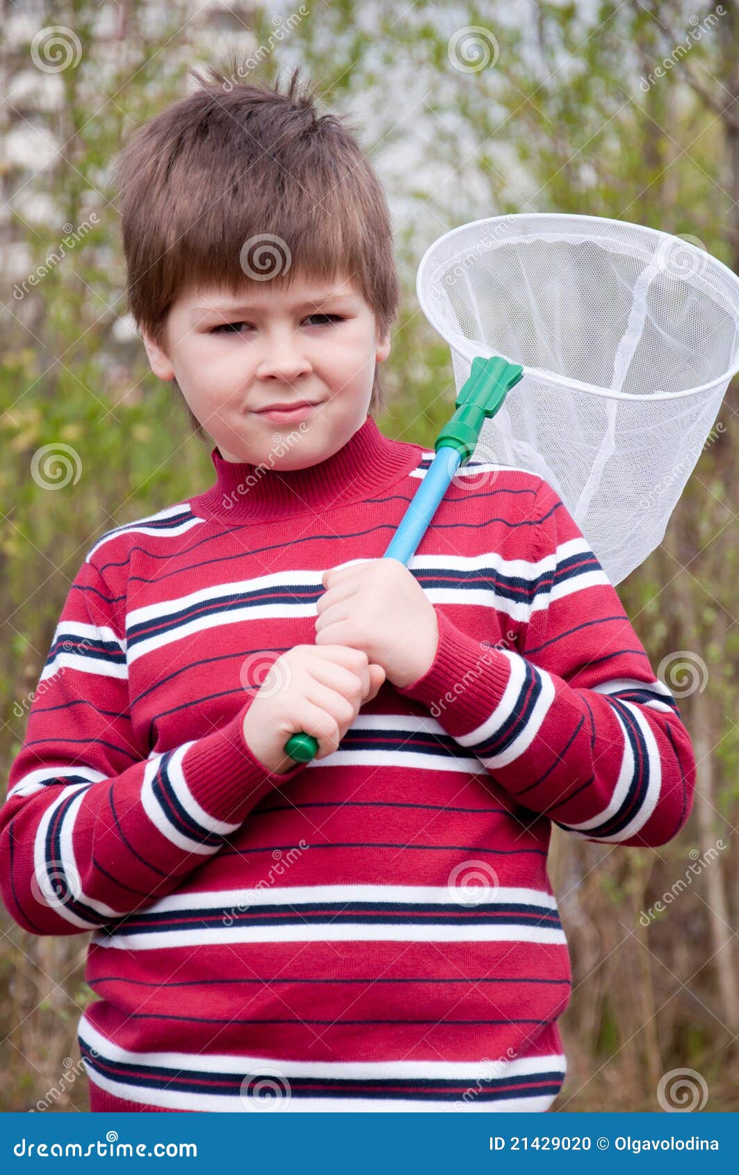 Boy with a butterfly net stock photo. Image of child - 21429020