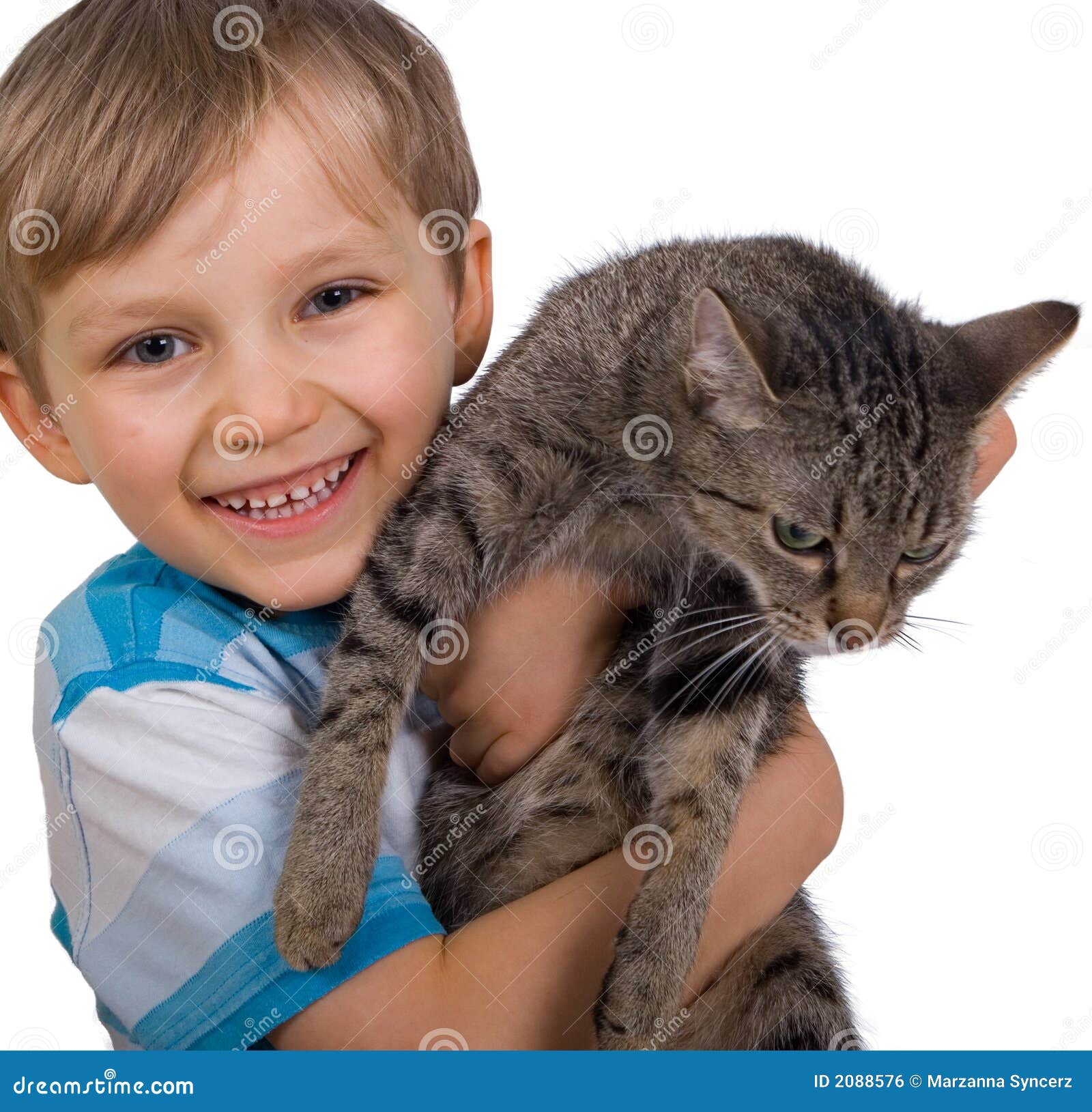 Boy with cat stock photo. Image of grey, cheerful, feline - 2088576