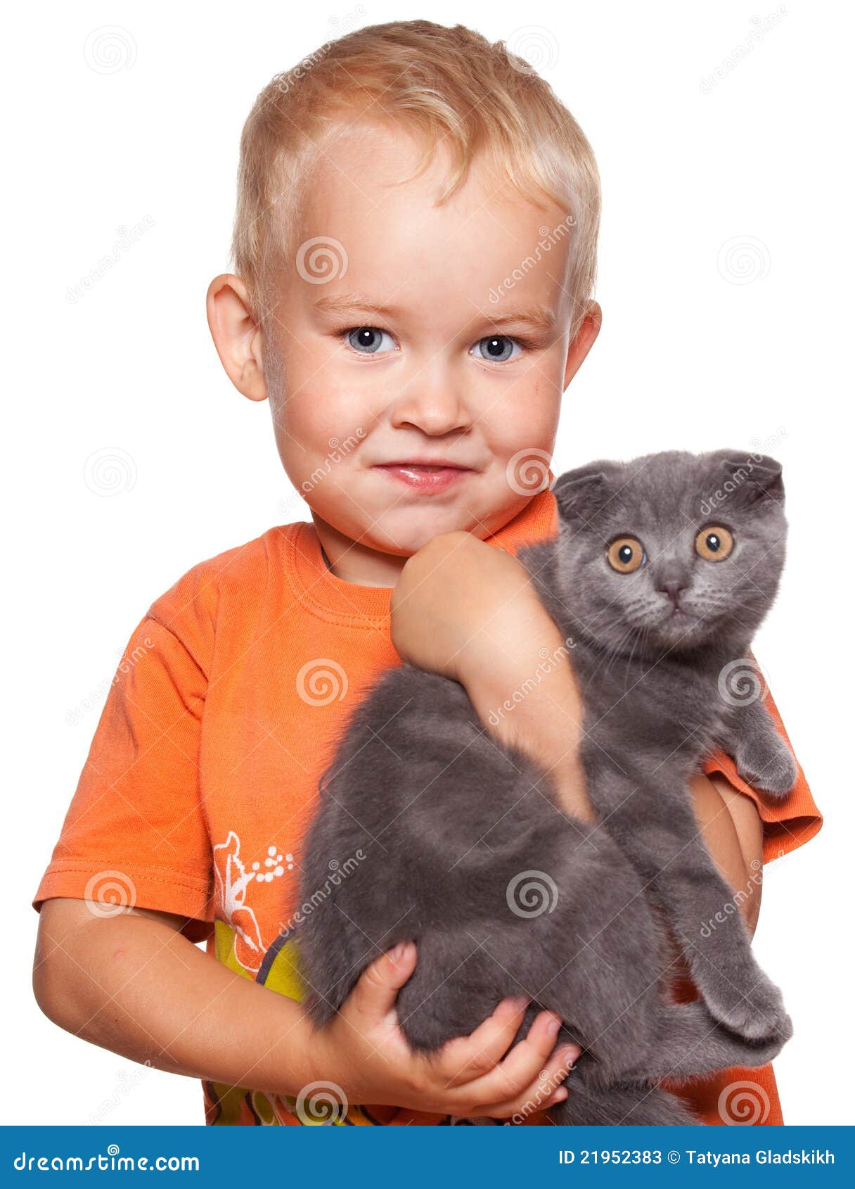 Boy with cat stock image. Image of happy, grey, embracing - 21952383