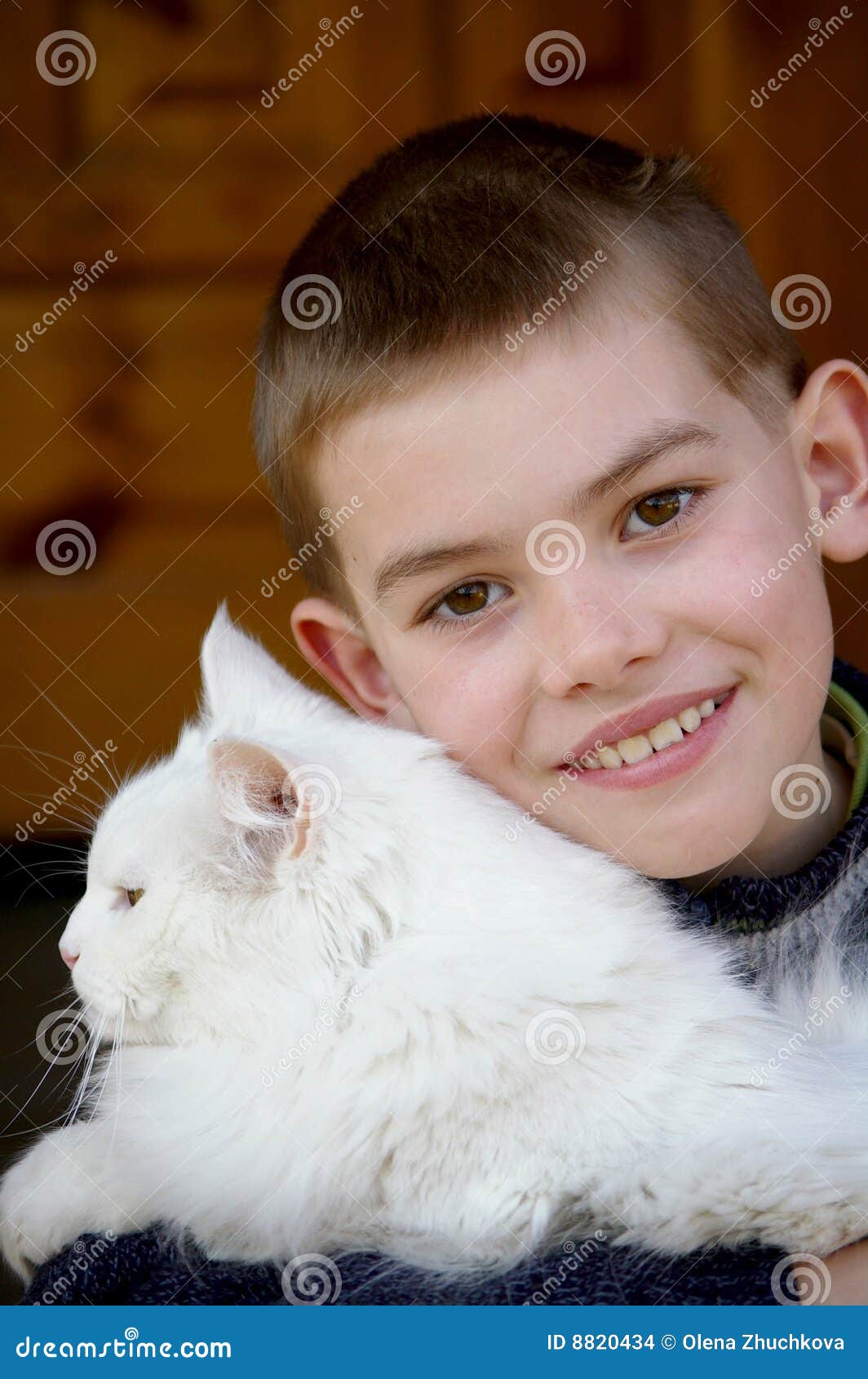 Boy and cat stock photo. Image of pets, child, male, lifestyles - 8820434