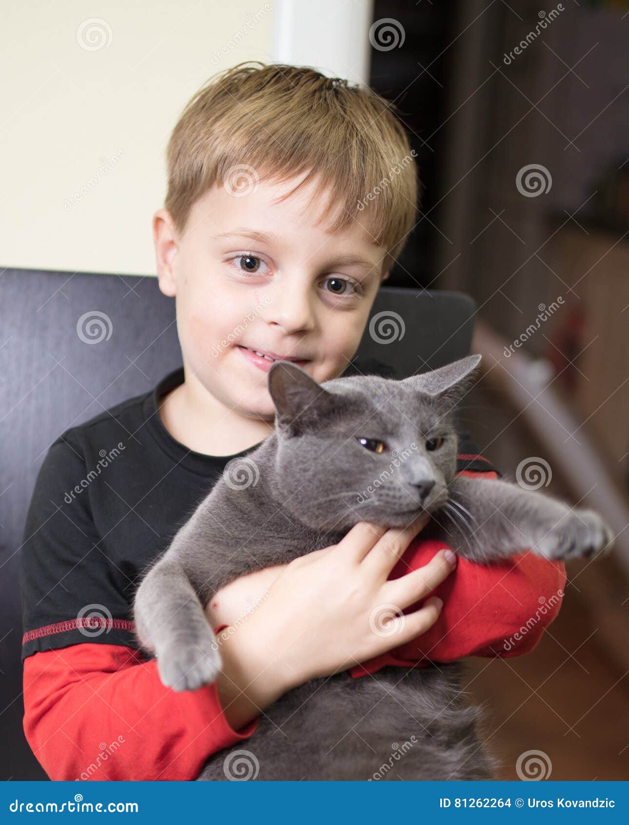 Boy and cat stock photo. Image of love, bonding, little - 81262264
