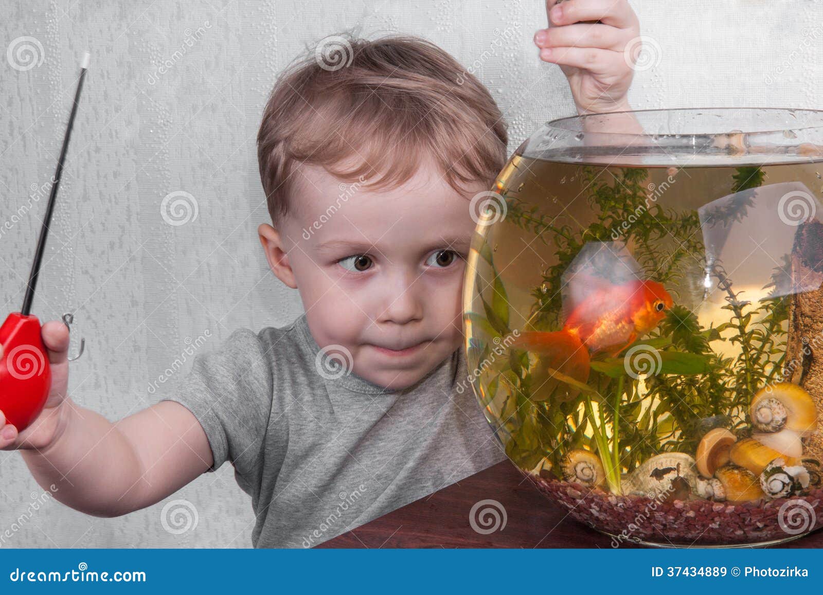 Boy Catches Fish in Aquarium Stock Image - Image of hand, fish: 37434889