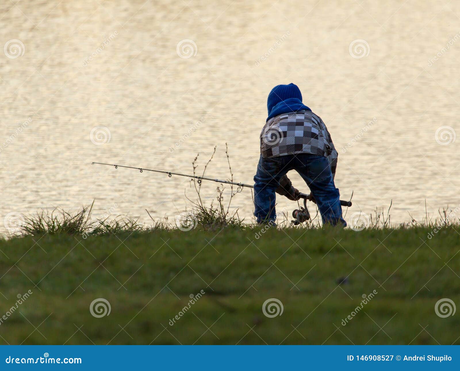 The Boy Catches Fish on the Pond at Sunset Stock Image - Image of pond ...