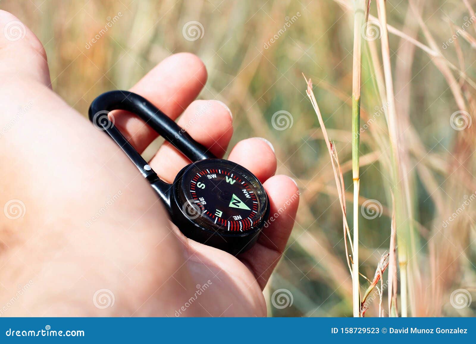 Boy Catching a Black Modern Compass Showing the Direction in the Forest ...