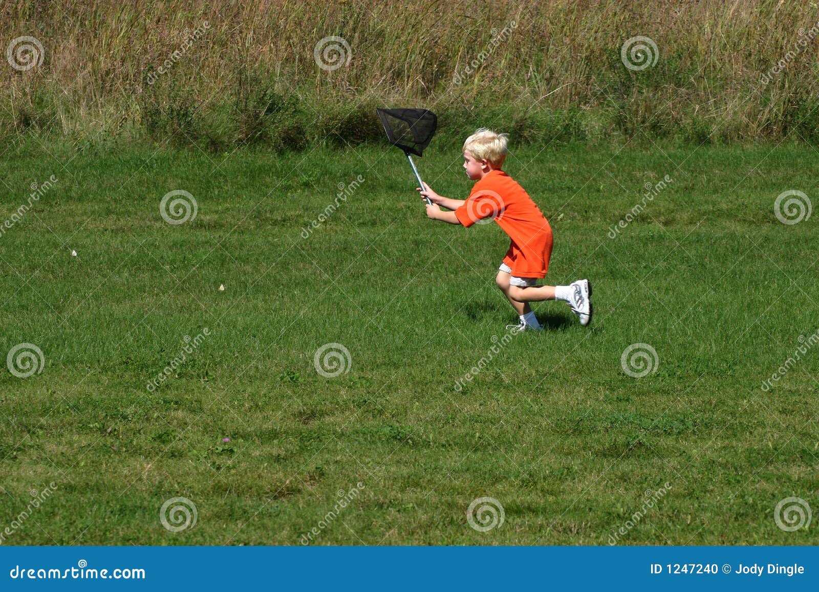 Boy Catching Bugs stock photo. Image of insect, butterfly - 1247240