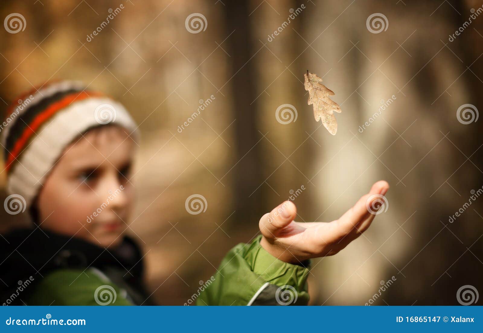 Boy Catching a Falling Leaf Stock Image - Image of falling, hand: 16865147