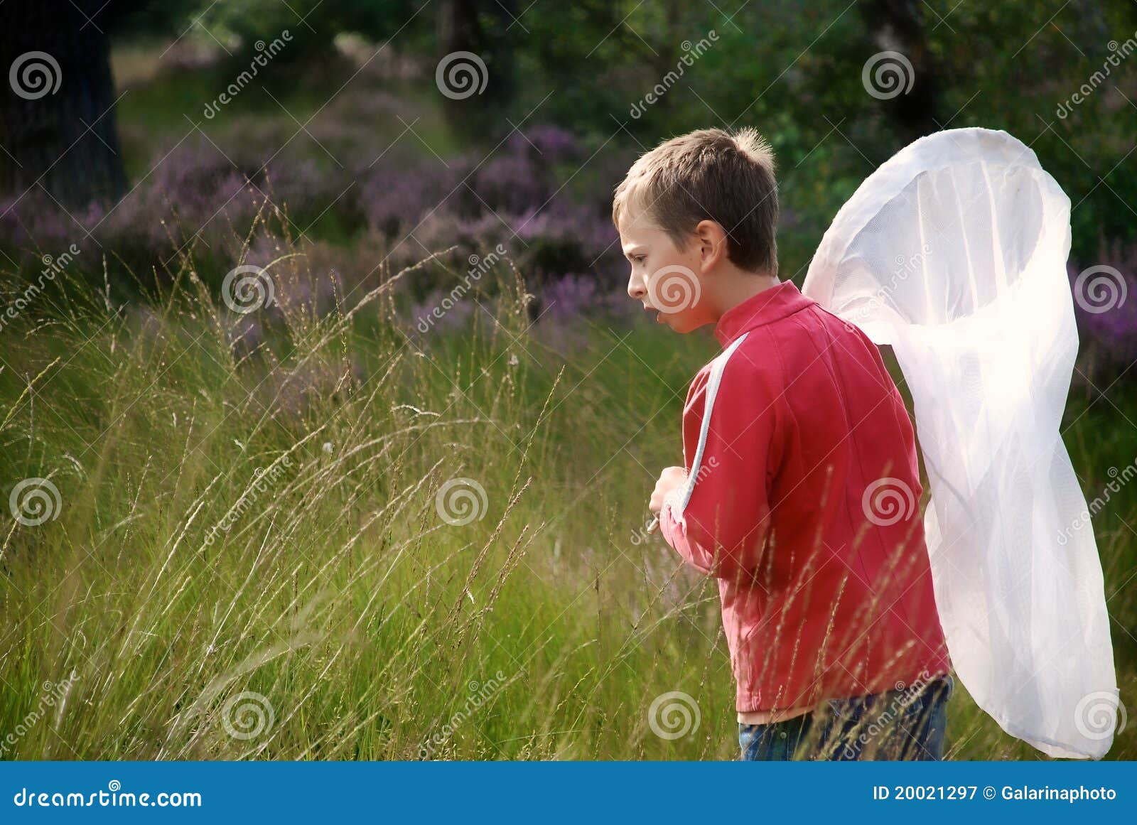 Boy catching insects stock image. Image of insect, white - 20021297
