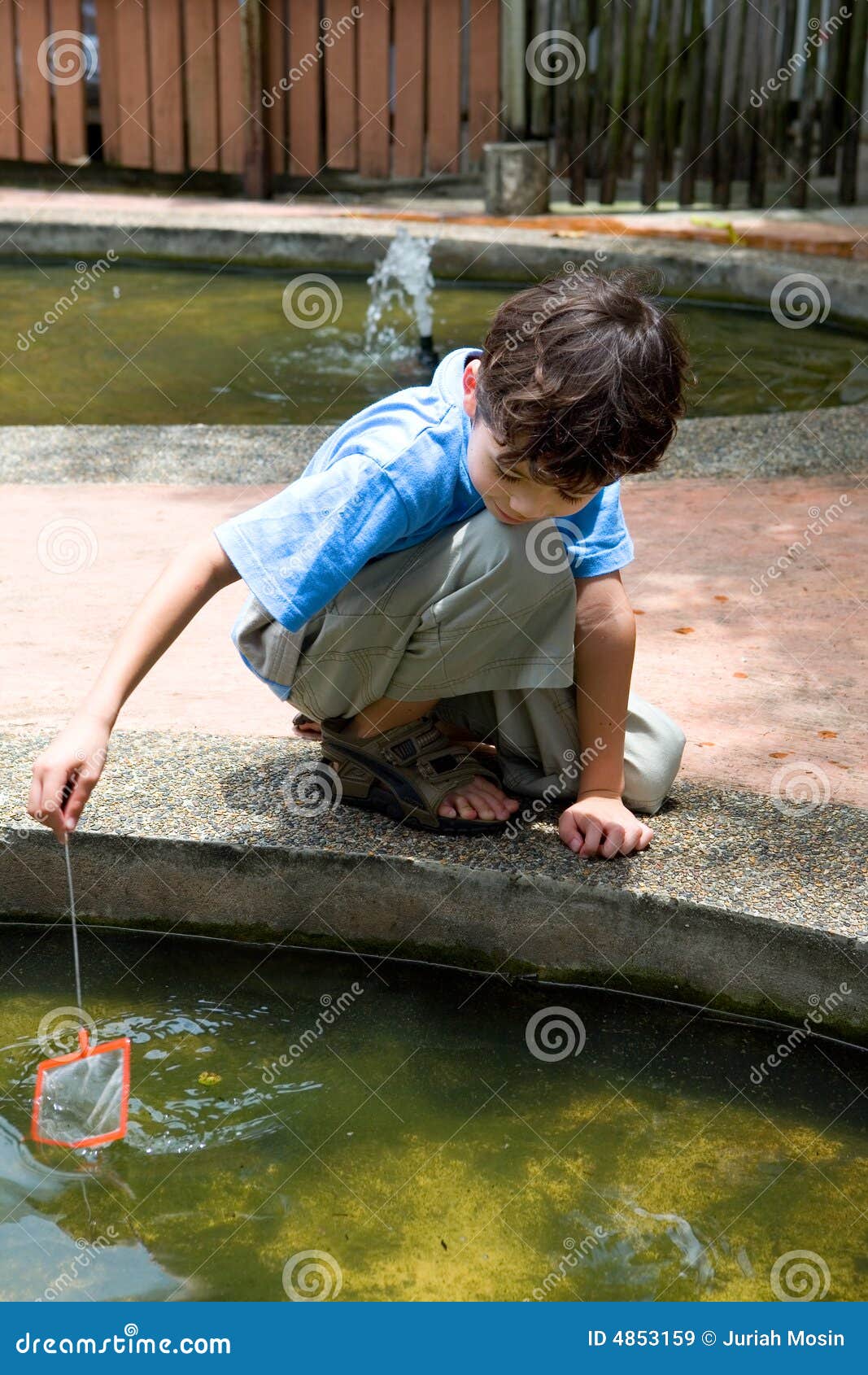 Boy Catching Little Fish with a Net Stock Image - Image of skill, learn ...