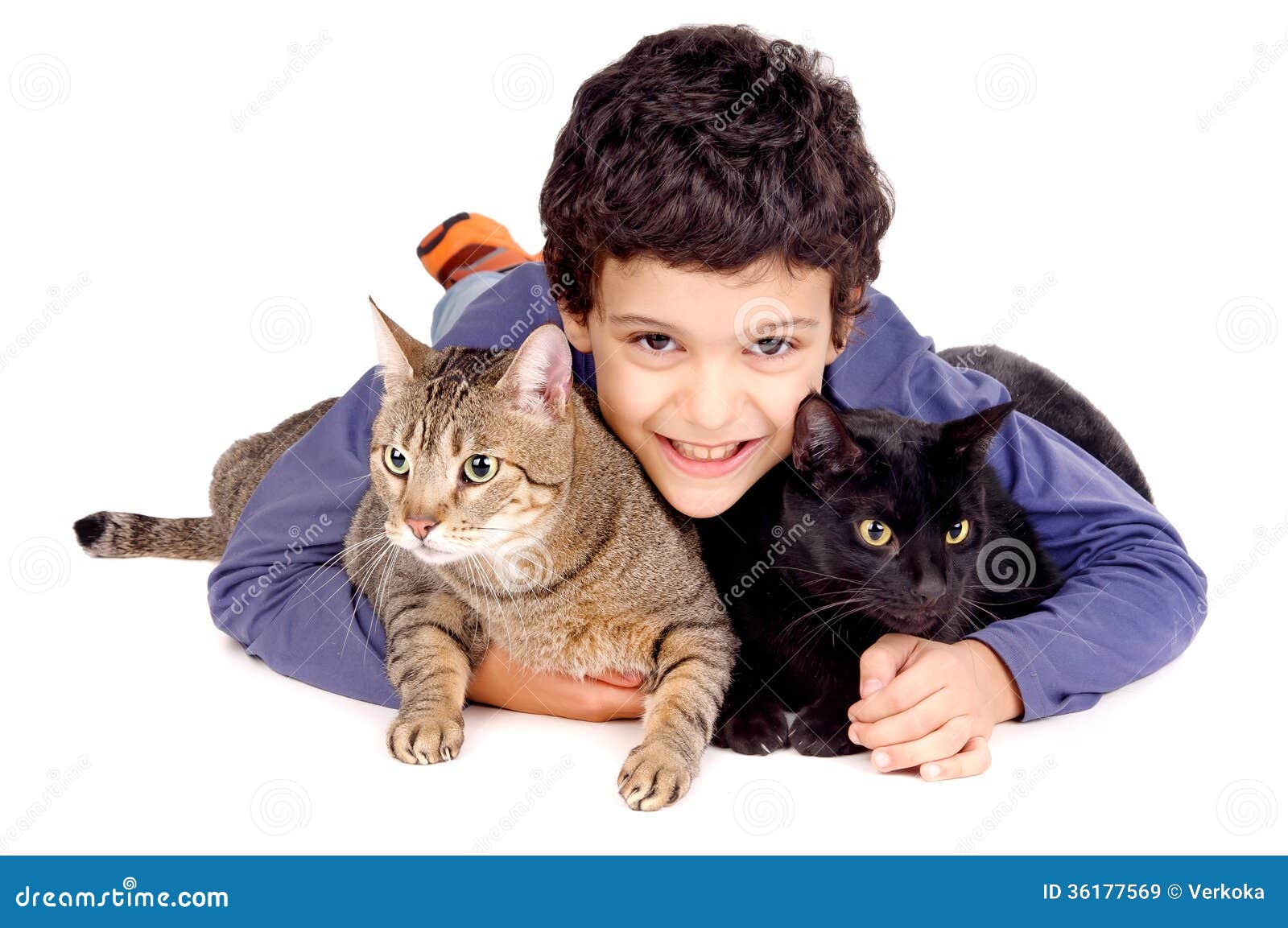 Boy with cats stock image. Image of furry, person, kittens - 36177569