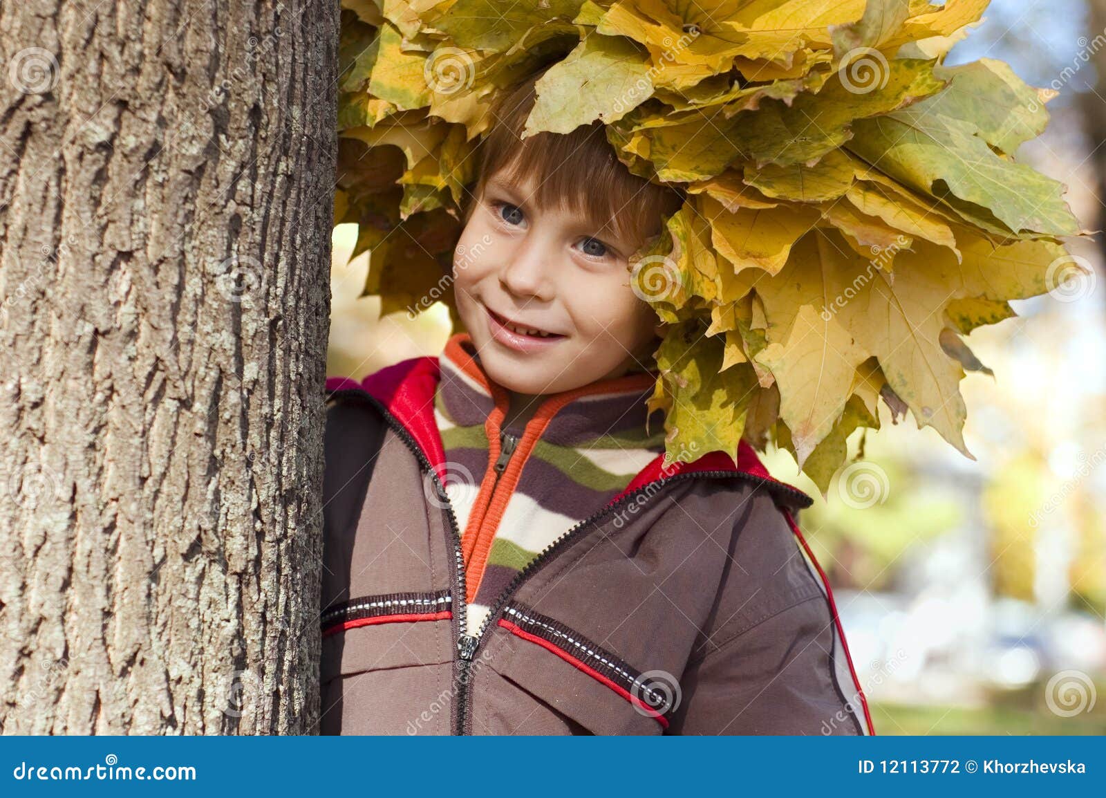 Boy with chaplet stock photo. Image of outdoors, garland - 12113772