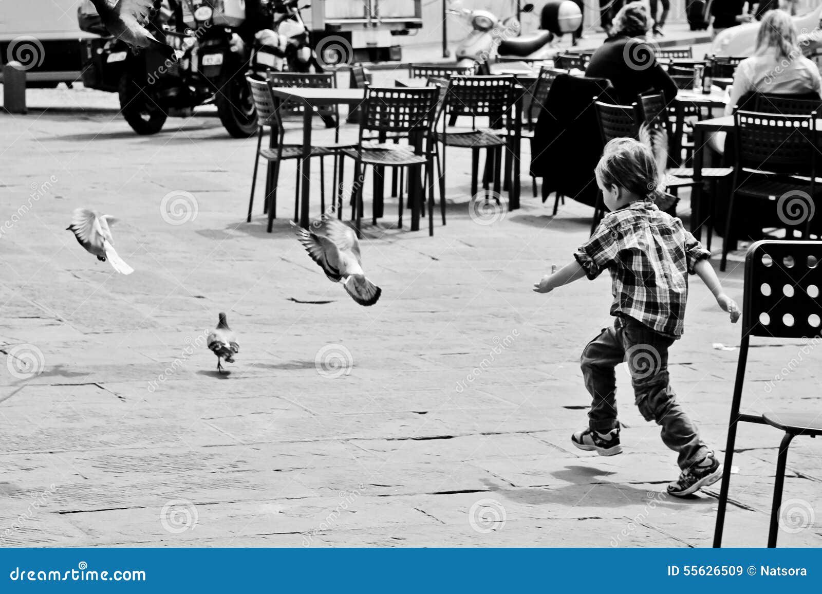 Boy chasing pigeons editorial stock image. Image of pigeon - 55626509