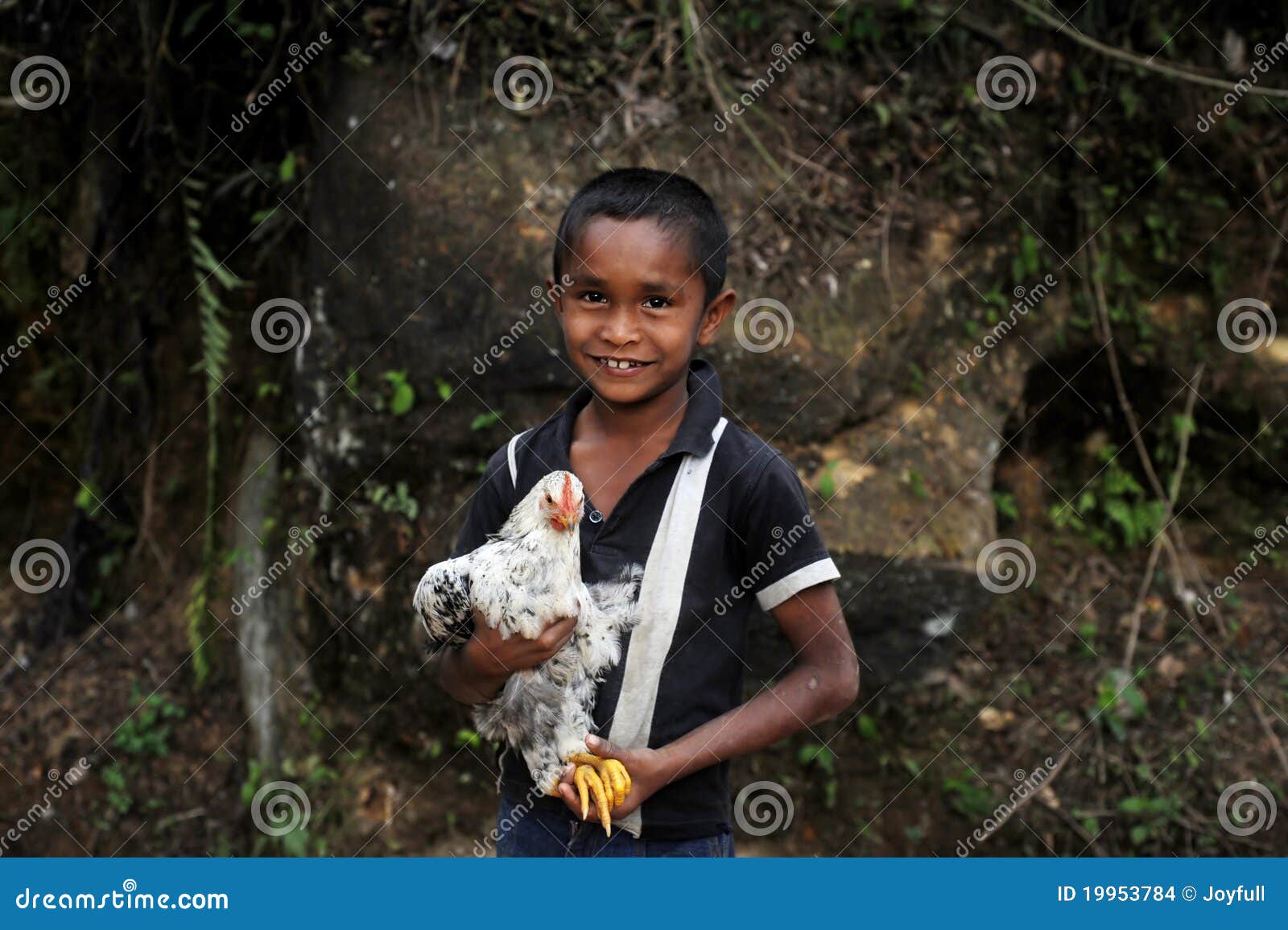 Boy with chicken editorial stock image. Image of looking - 19953784