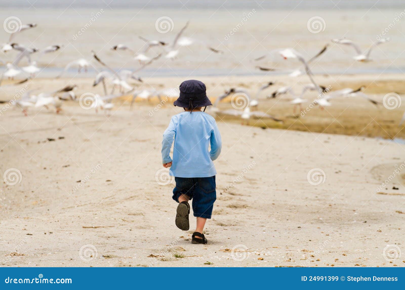 Boy Child Chasing Seagulls at Beach Stock Image - Image of seagull ...
