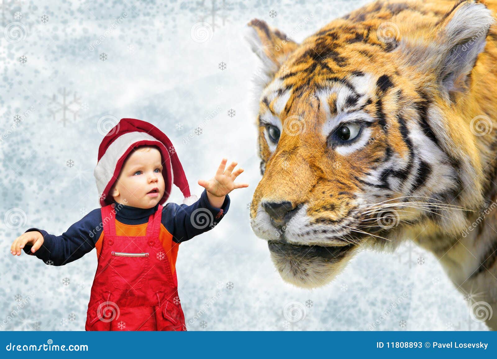 737 Tiger Collage Stock Photos - Free & Royalty-Free Stock Photos from ...