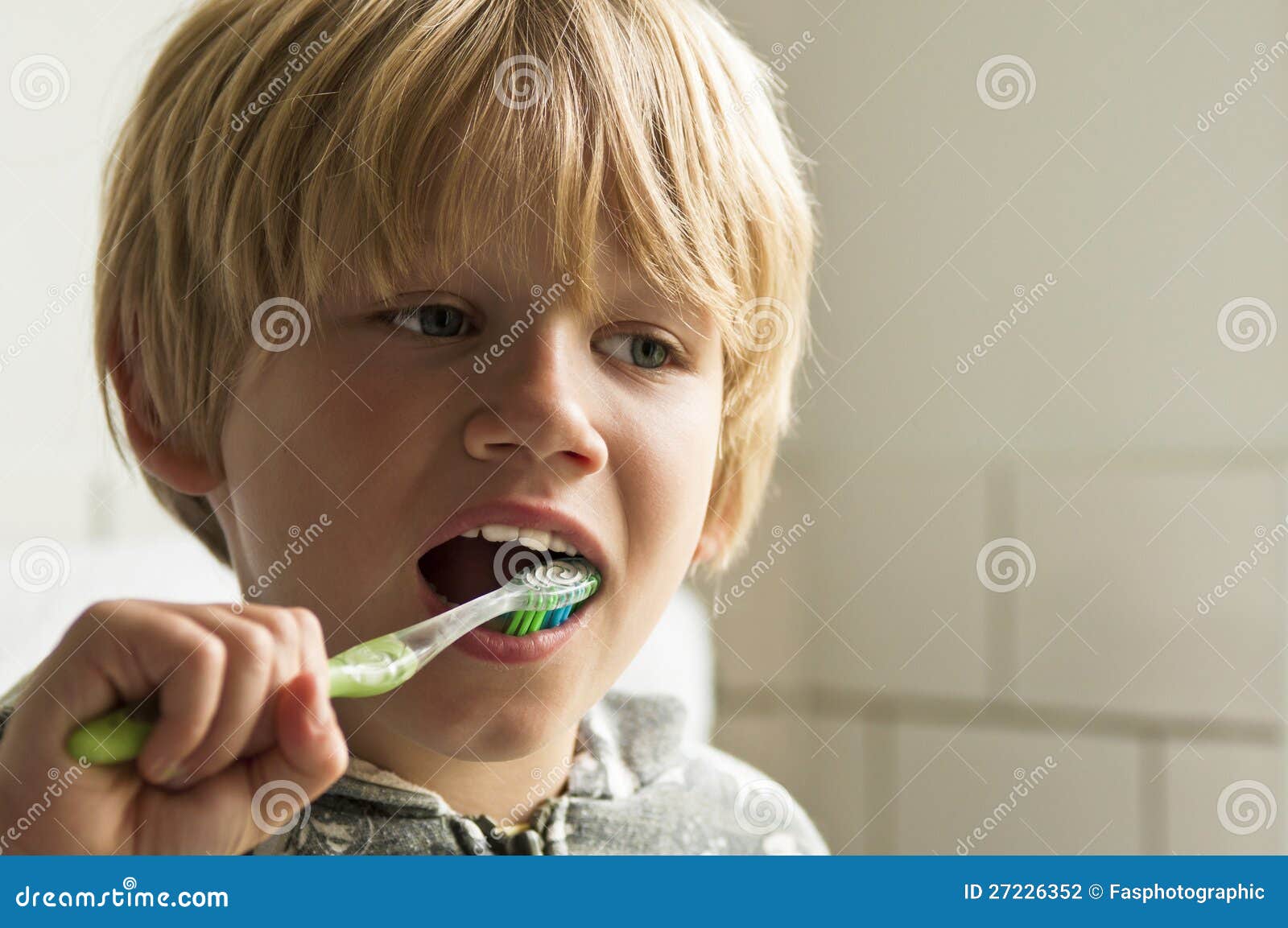 Boy cleaning teeth stock photo. Image of human, cleaning - 27226352