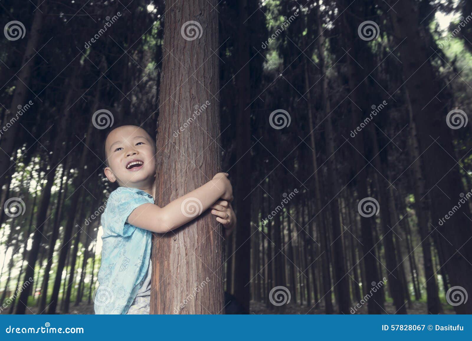 Boy climb up tree stock image. Image of high, climb, laugh - 57828067