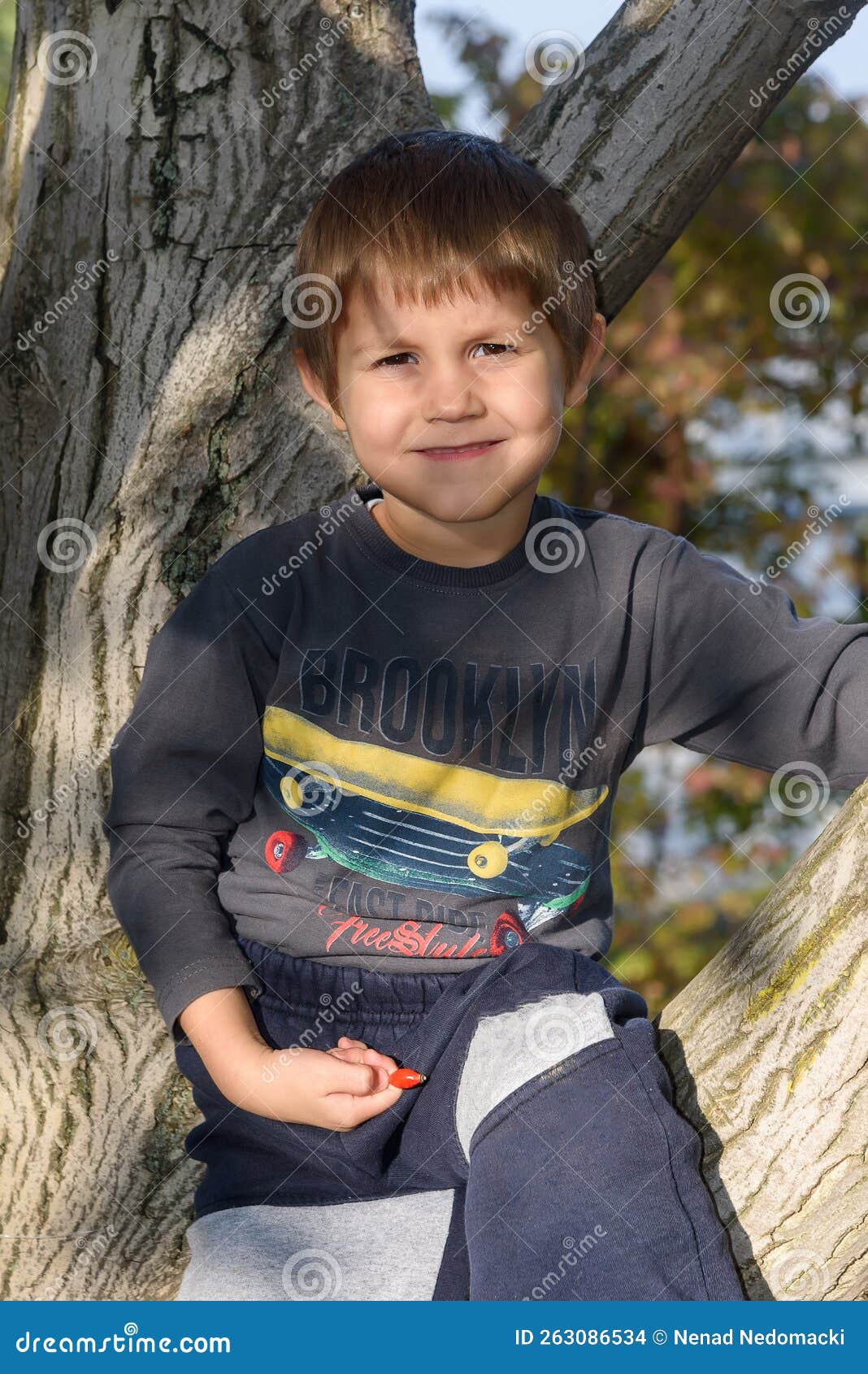 Boy Climbed on Tree. the Boy Sitting in a Tree in an Autumn Forest ...