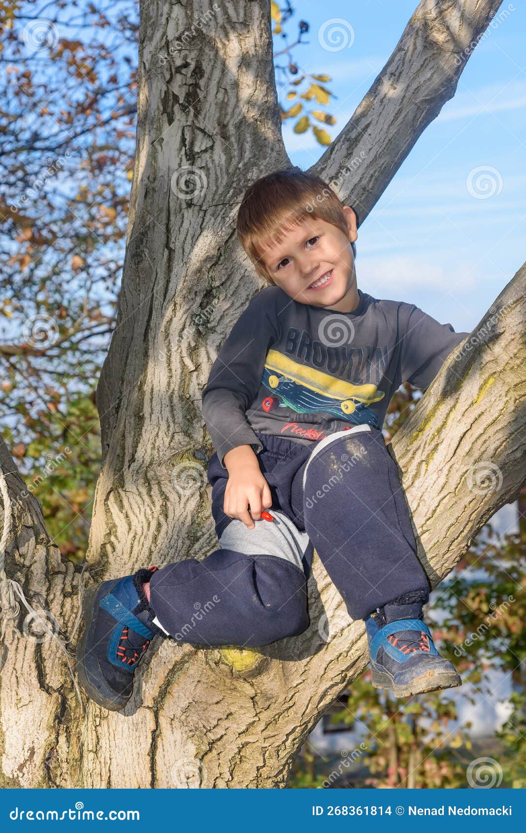 Boy Climbed on Tree. the Boy Sitting in a Tree in an Autumn Forest ...