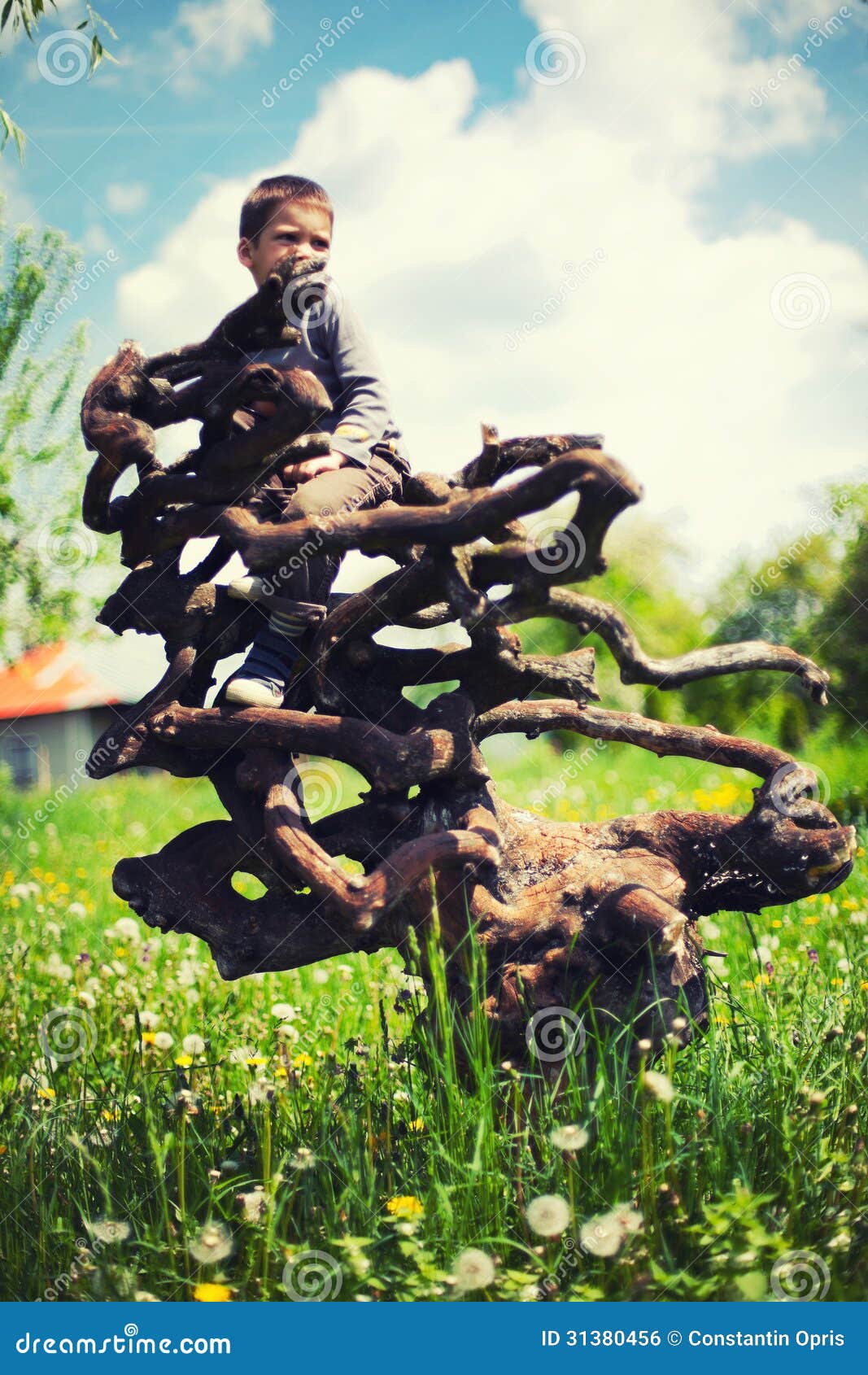 Boy climbed in tree stock photo. Image of tree, child - 31380456