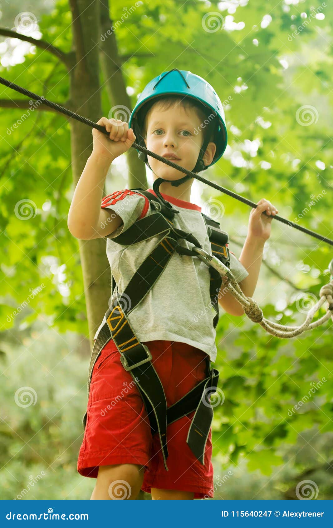 Boy at Climbing Activity in High Wire Forest Park Stock Image - Image ...