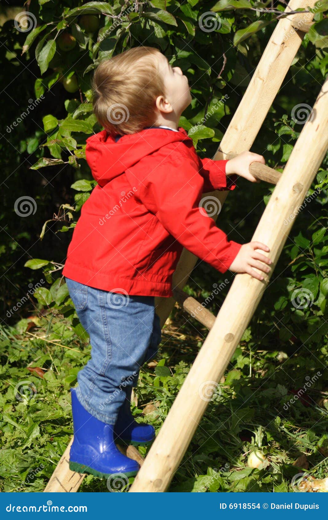 Kid Climbing Ladder