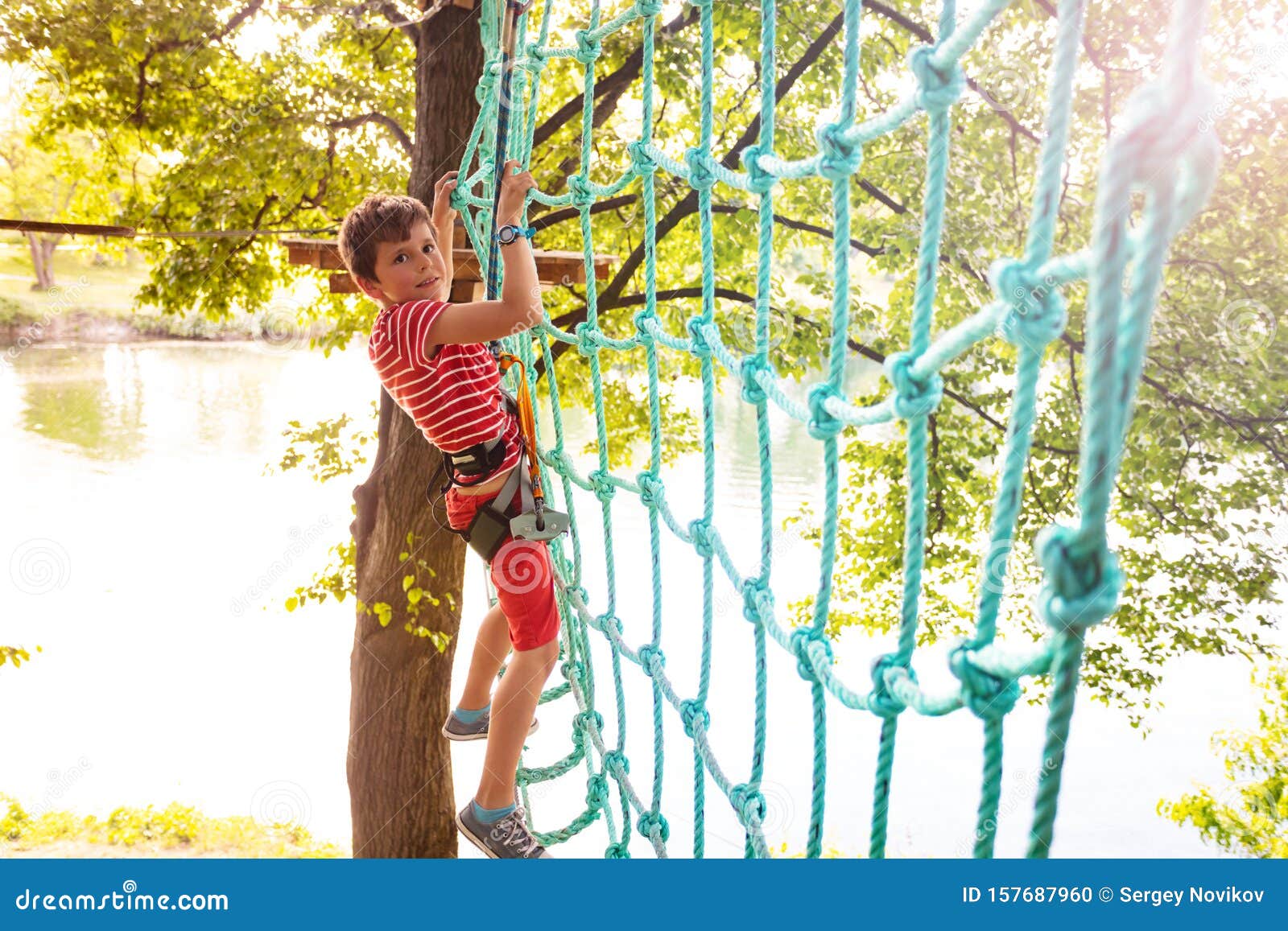 Boy Climbing Net High on Tree at Adventure Park Stock Photo - Image of ...