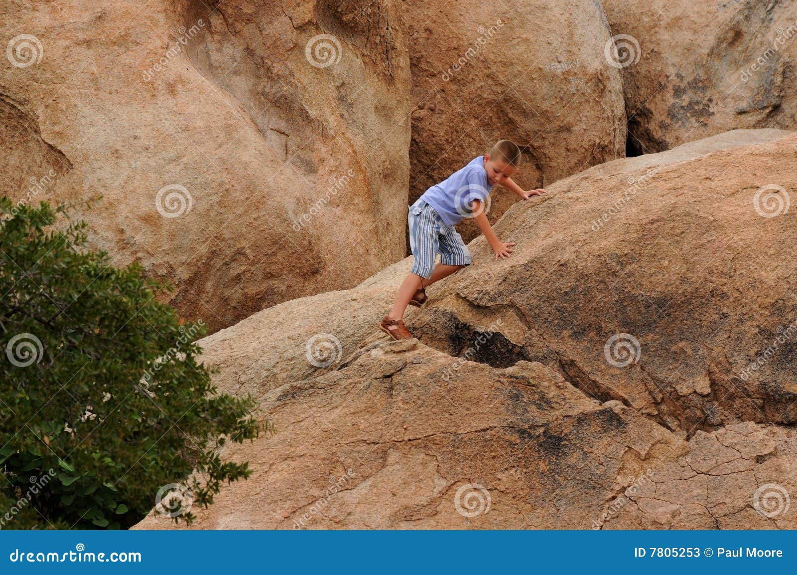 Boy Climbing on Rocks stock image. Image of children, happiness - 7805253
