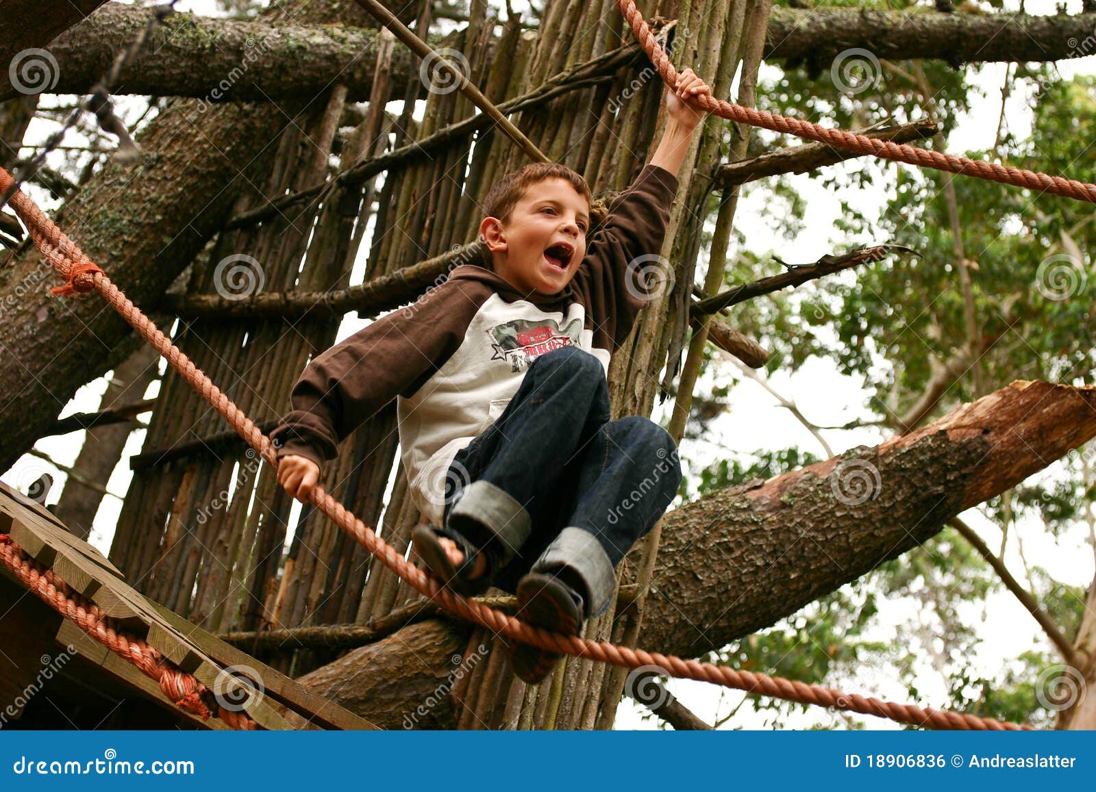 Boy climbing tree stock photo. Image of childhood, child - 18906836