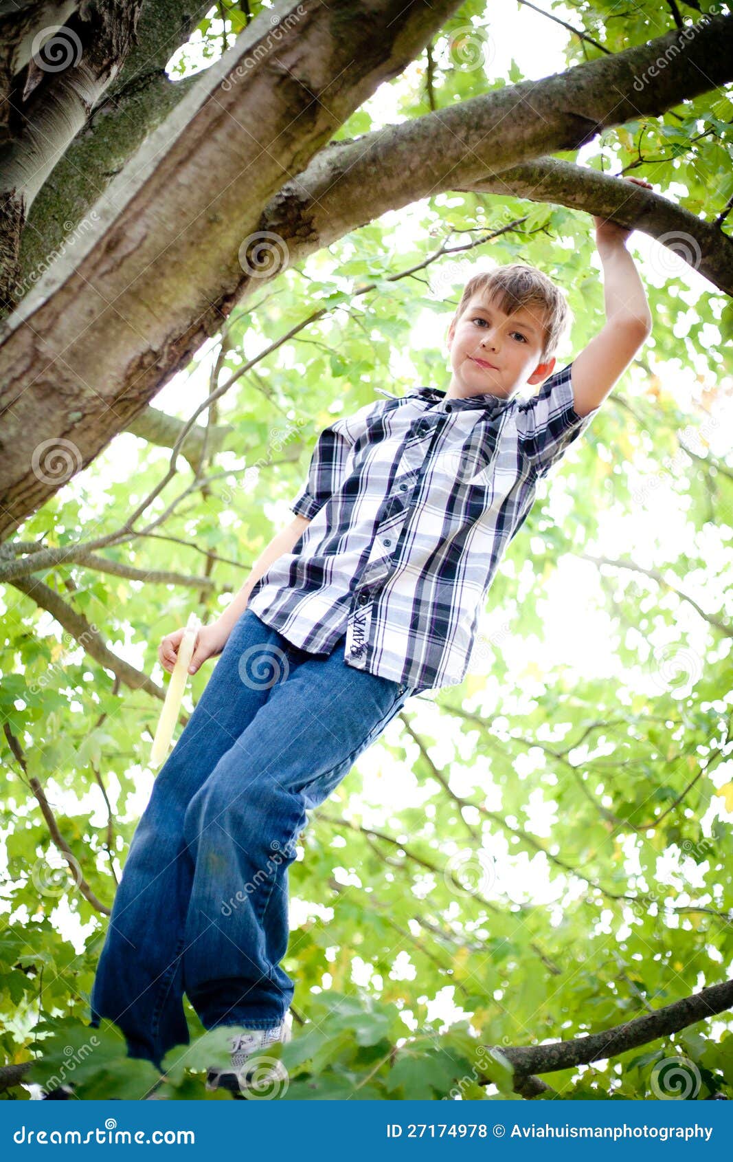 Boy Climbing Tree stock photo. Image of happiness, close - 27174978
