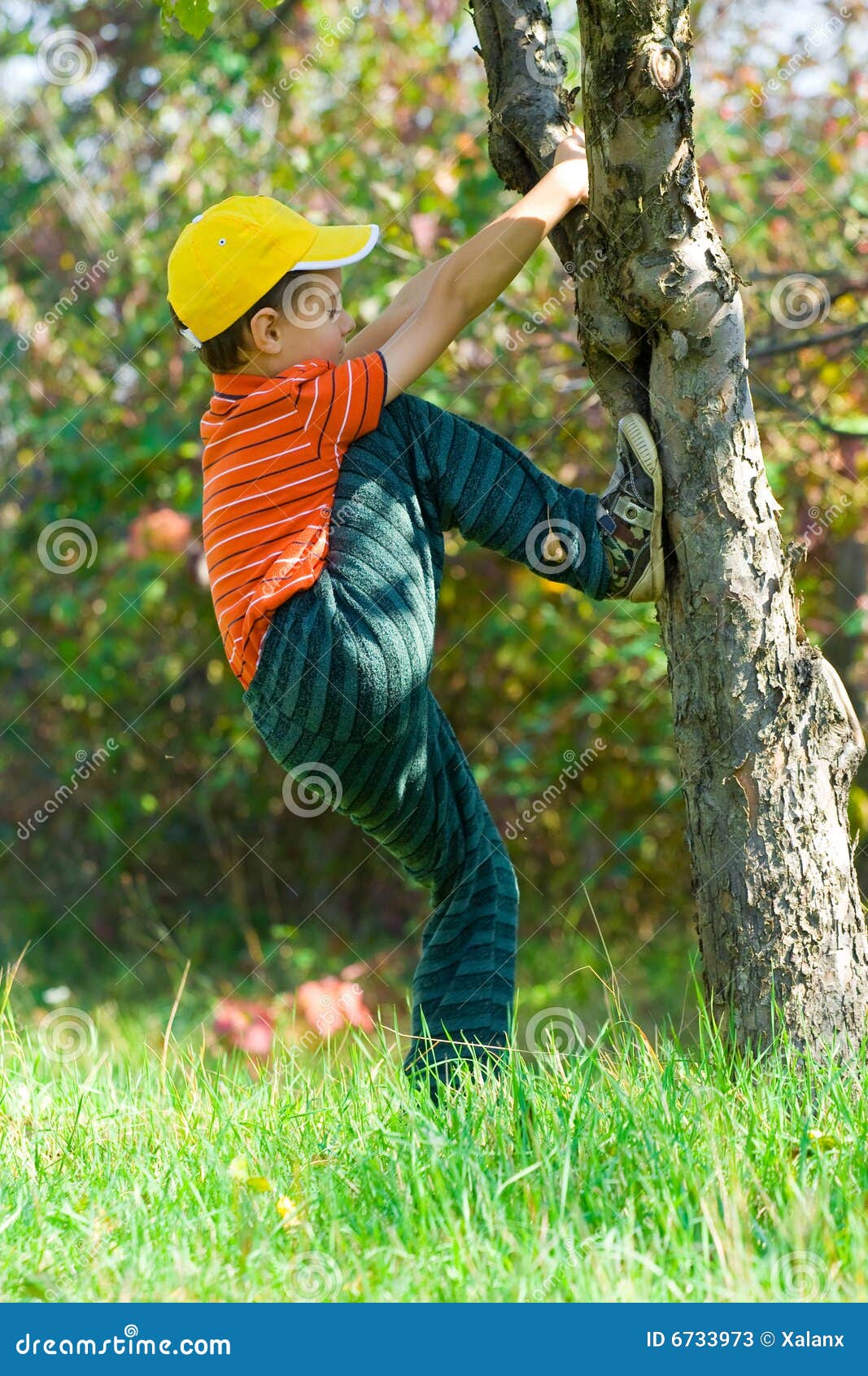 Boy climbing in a tree stock image. Image of child, play - 6733973