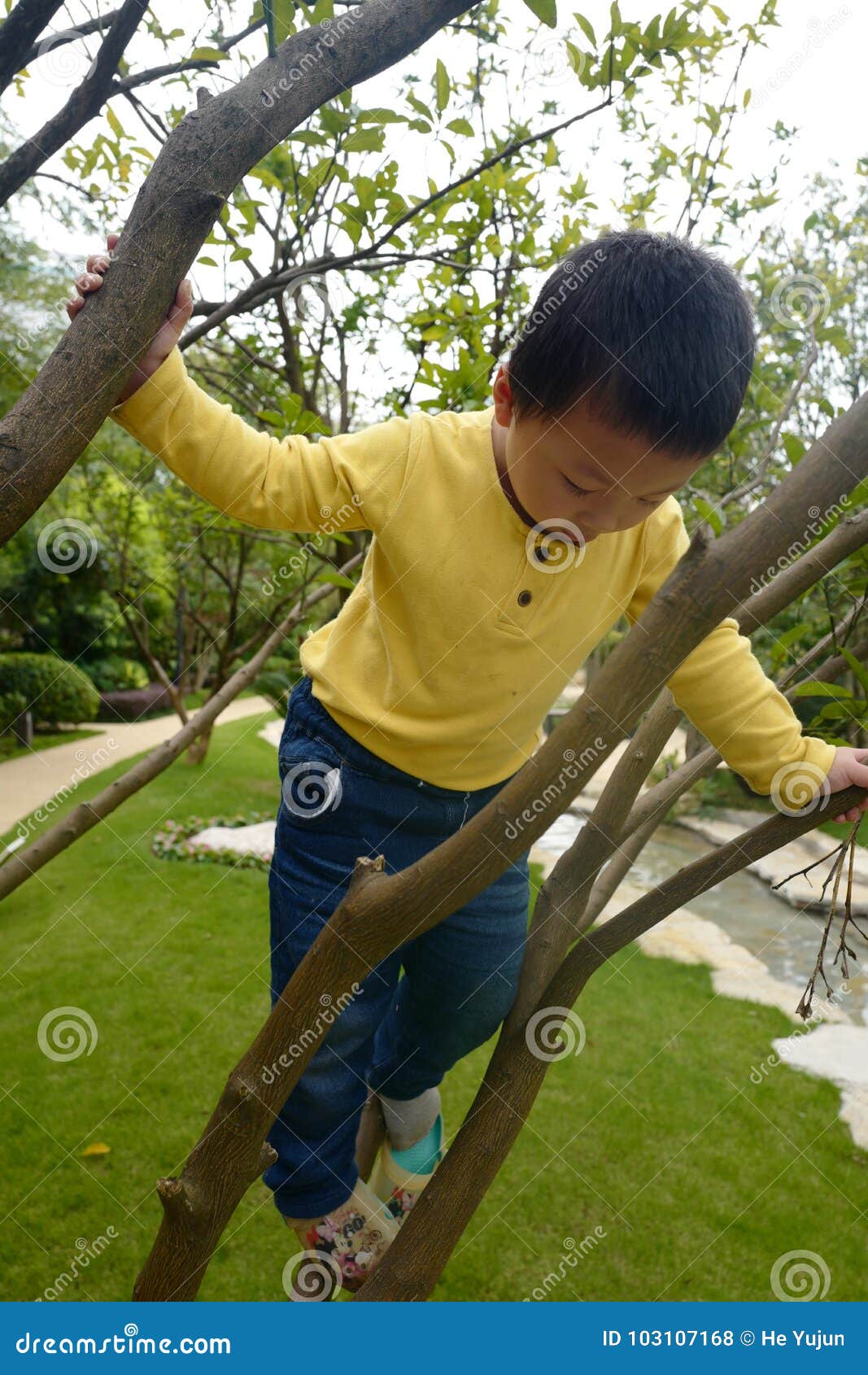 Boy climbing tree stock photo. Image of active, leaves - 103107168