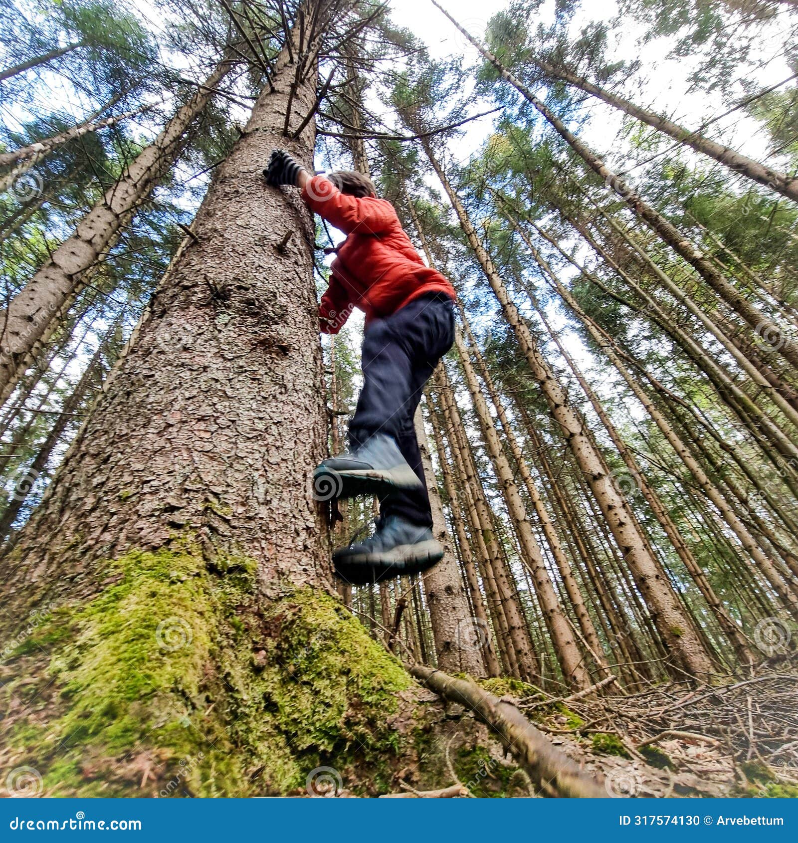 Boy Climbing Tree in Forest Stock Photo - Image of activity, speed ...