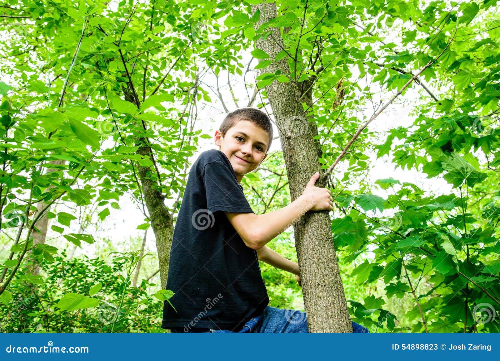 Boy Climbing Tree Looking Down Stock Image - Image of playing, sunshine ...
