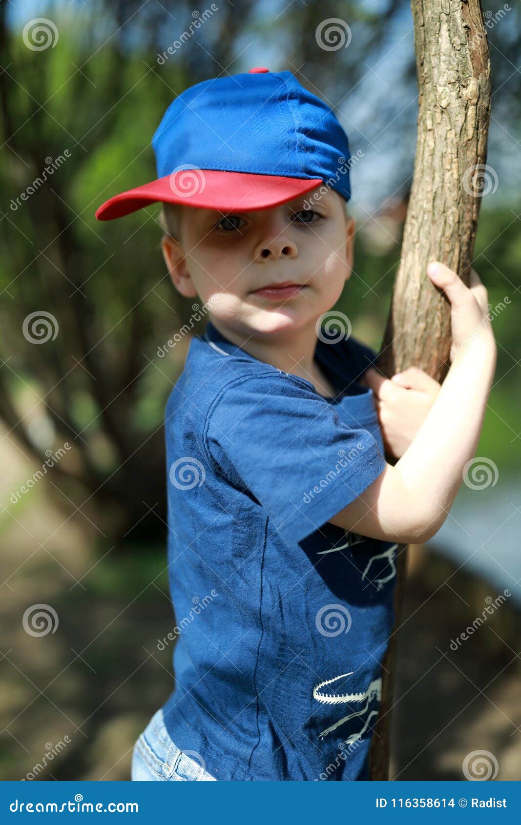 Boy climbing tree stock photo. Image of branch, climb - 116358614