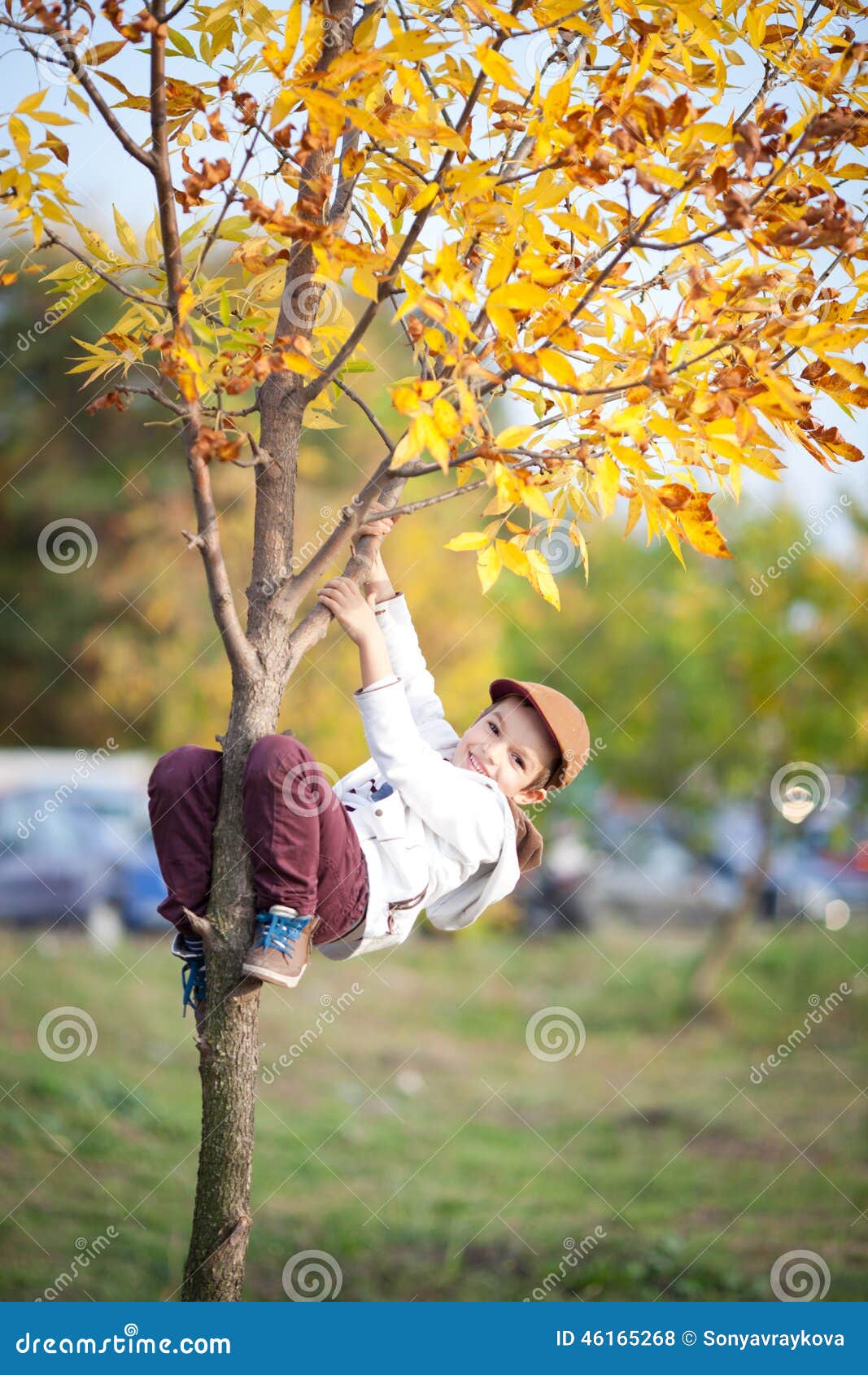 A boy climbing on a tree stock photo. Image of small - 46165268