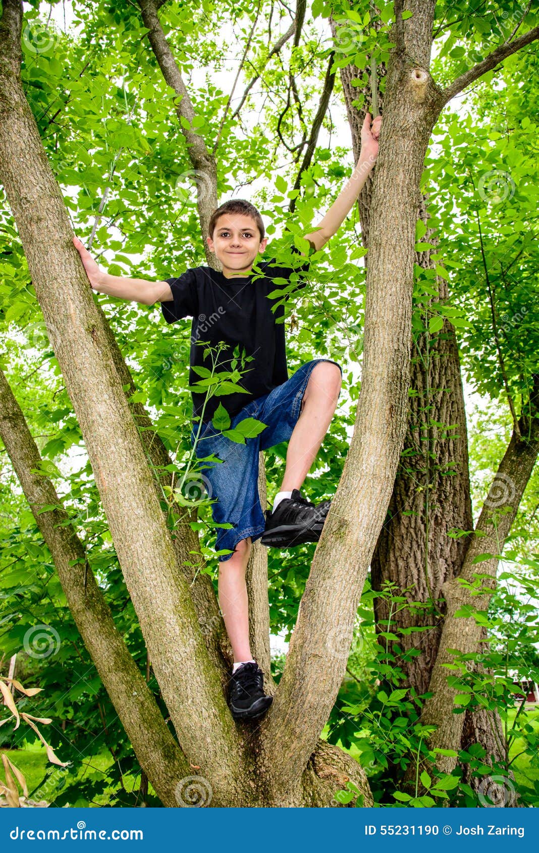 Boy Climbing Tree Smiling stock photo. Image of year - 55231190