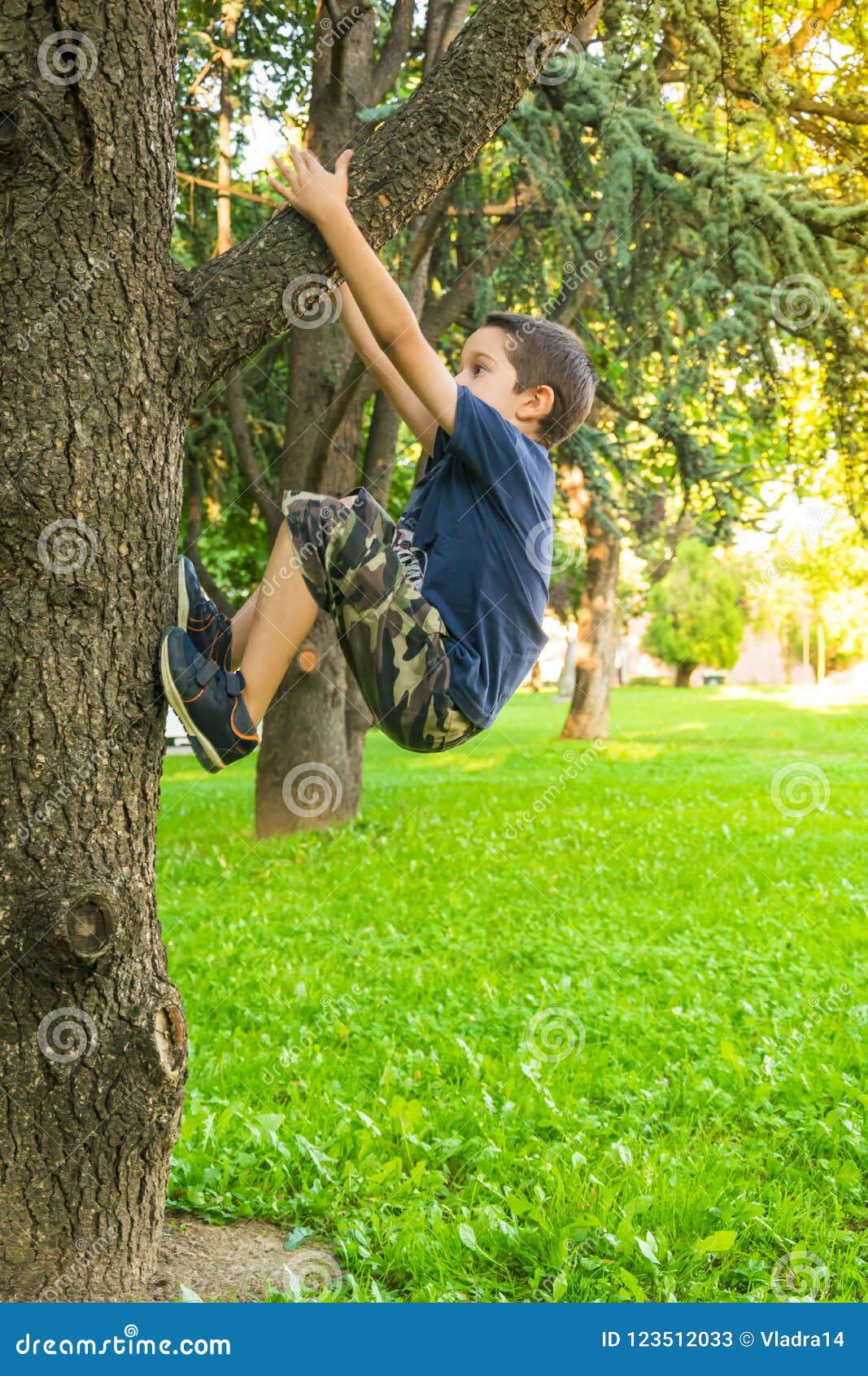 Boy Climbing a Tree in Summer Stock Image - Image of summer, activity ...