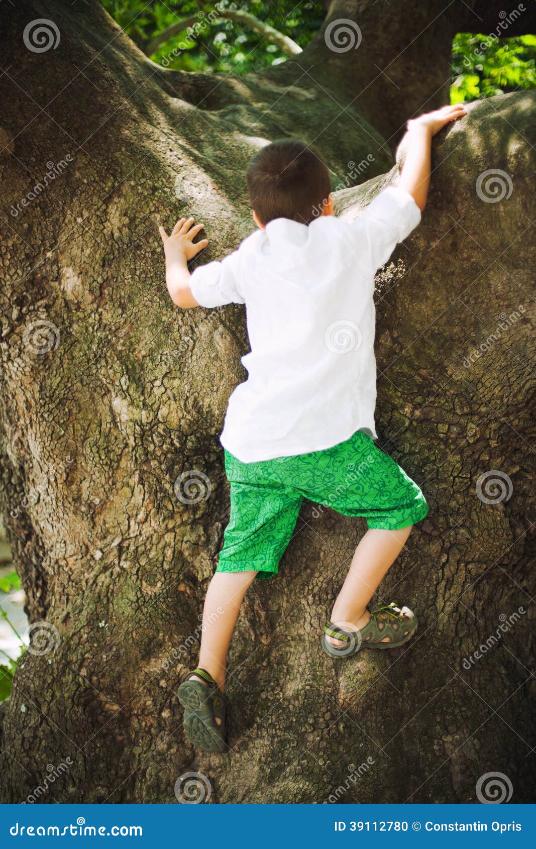 Boy climbing on tree stock photo. Image of exploration - 39112780