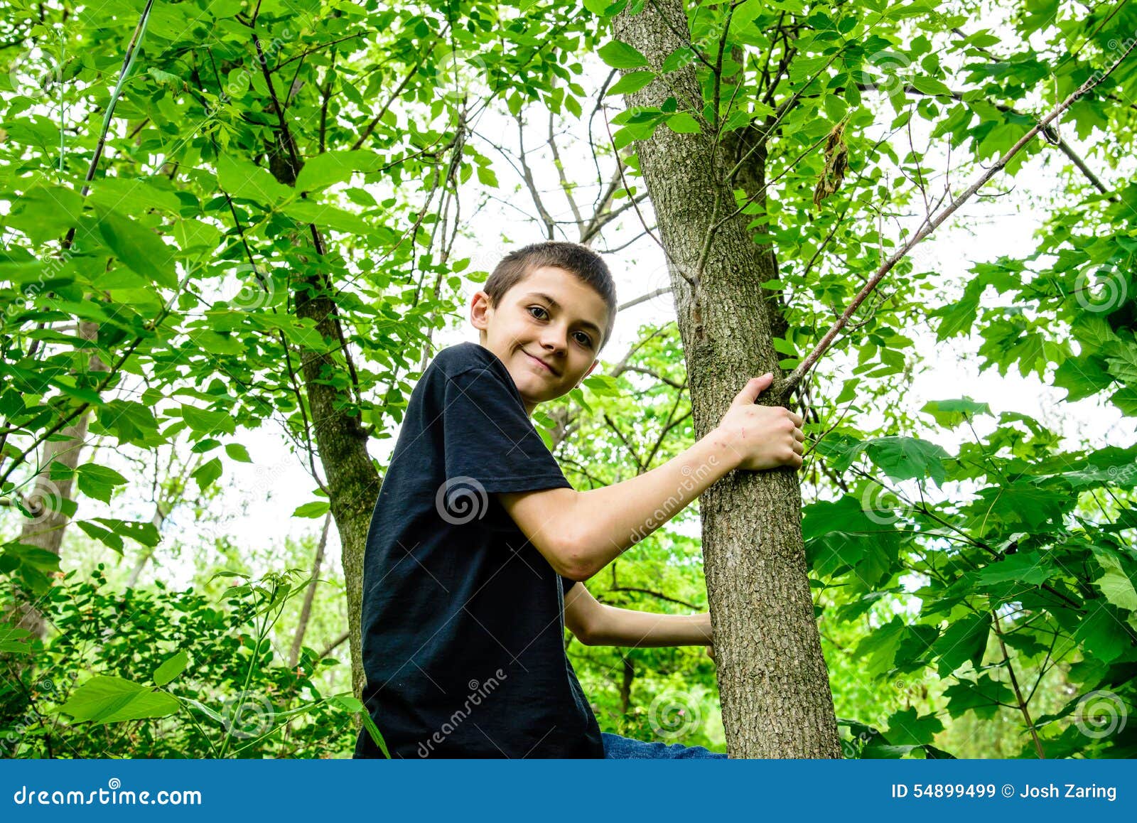 Boy Climbing Tree stock image. Image of activitiy, summer - 54899499