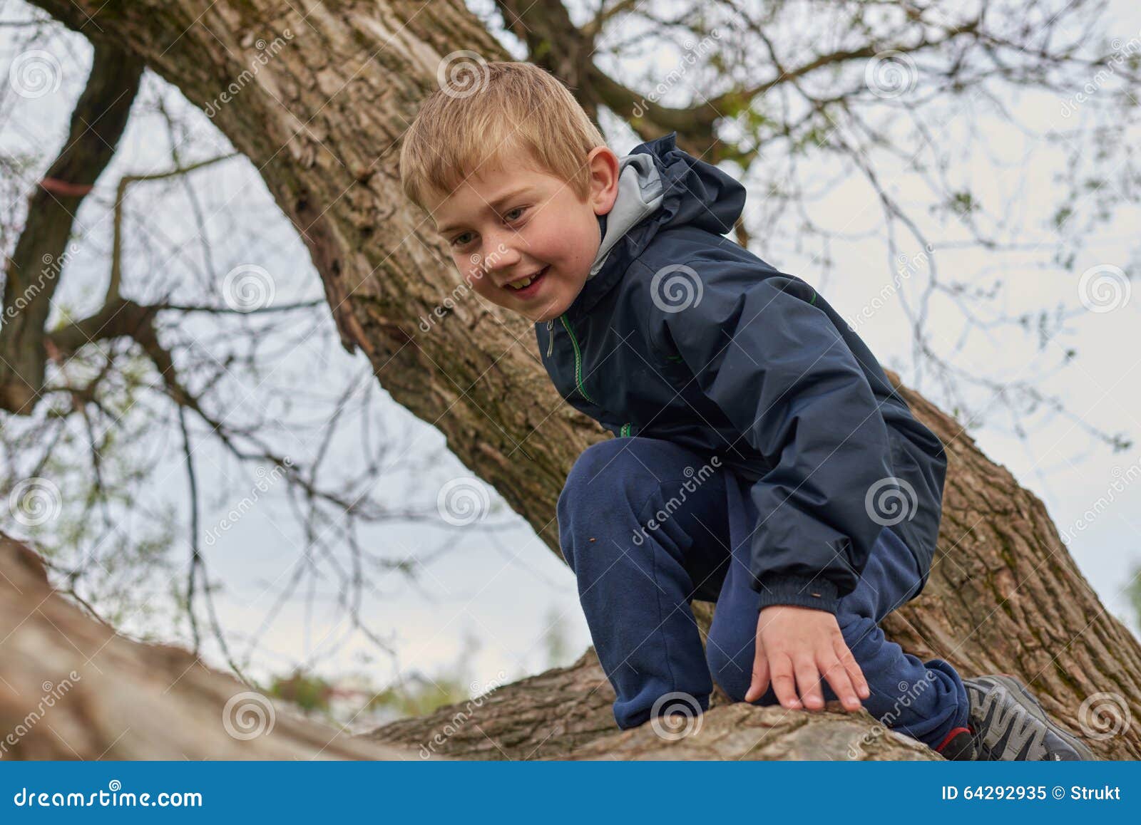 A Boy Climbs Tree stock image. Image of green, happiness - 64292935