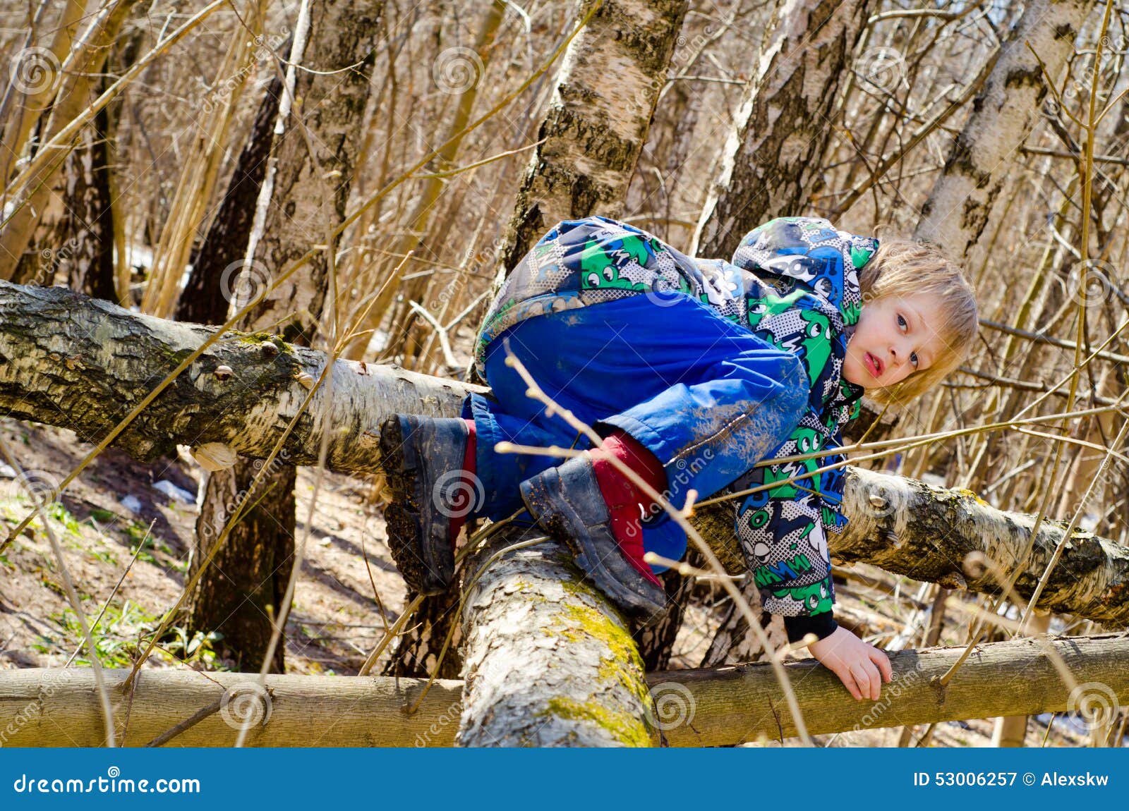 A boy climbs on a tree stock image. Image of baby, forest - 53006257