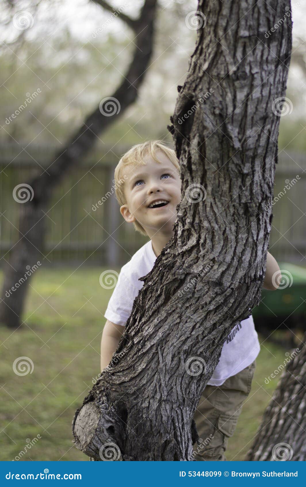 Boy Climbs Tree stock image. Image of casual, yard, trunks - 53448099